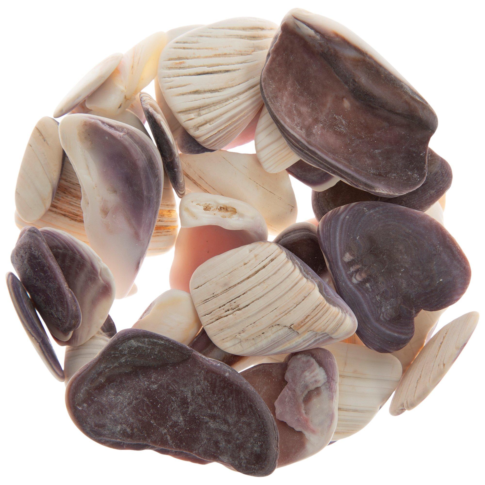 Purple Wampum Shells | Hobby Lobby | 2502755