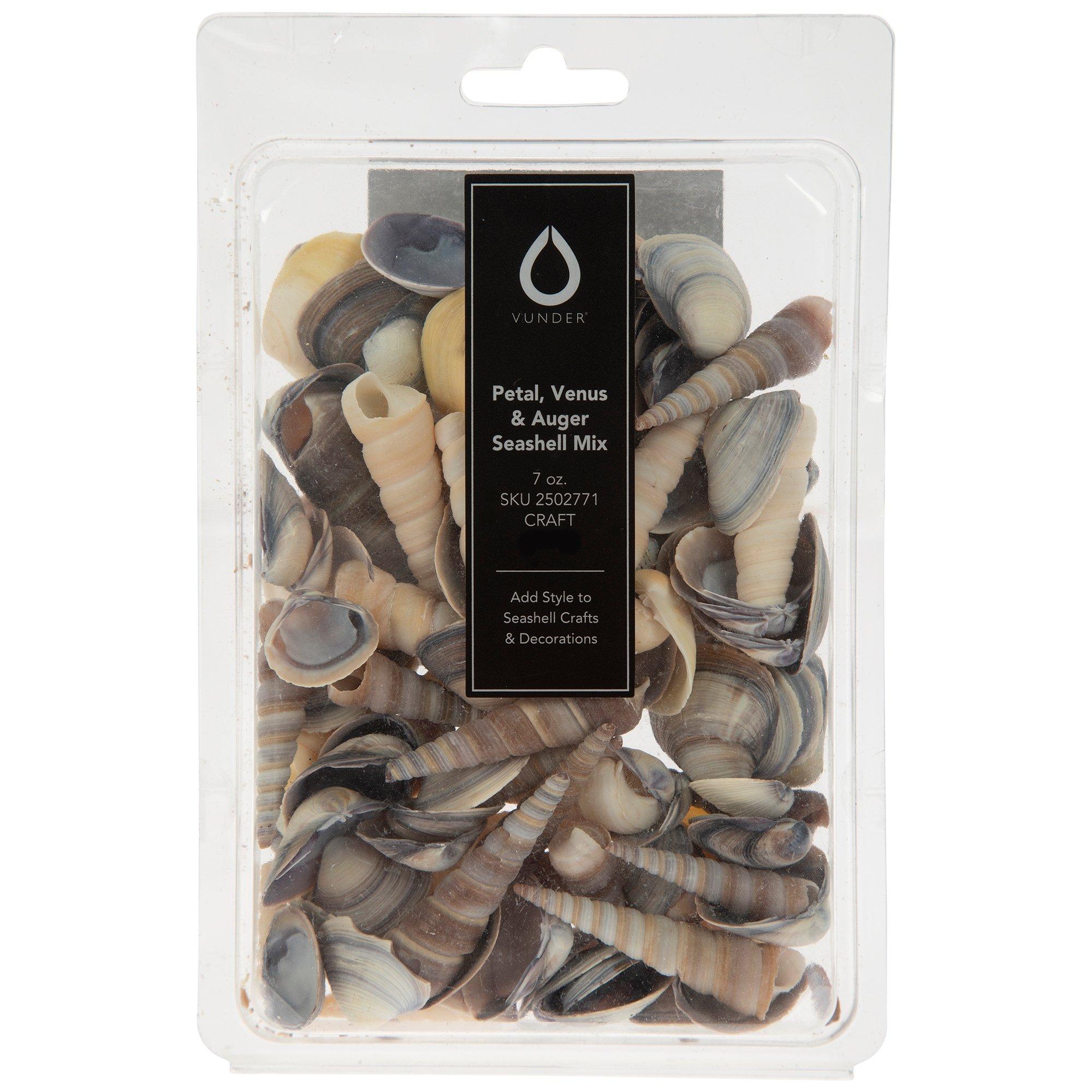 Petal, Venus & Auger Seashells | Hobby Lobby | 2502771