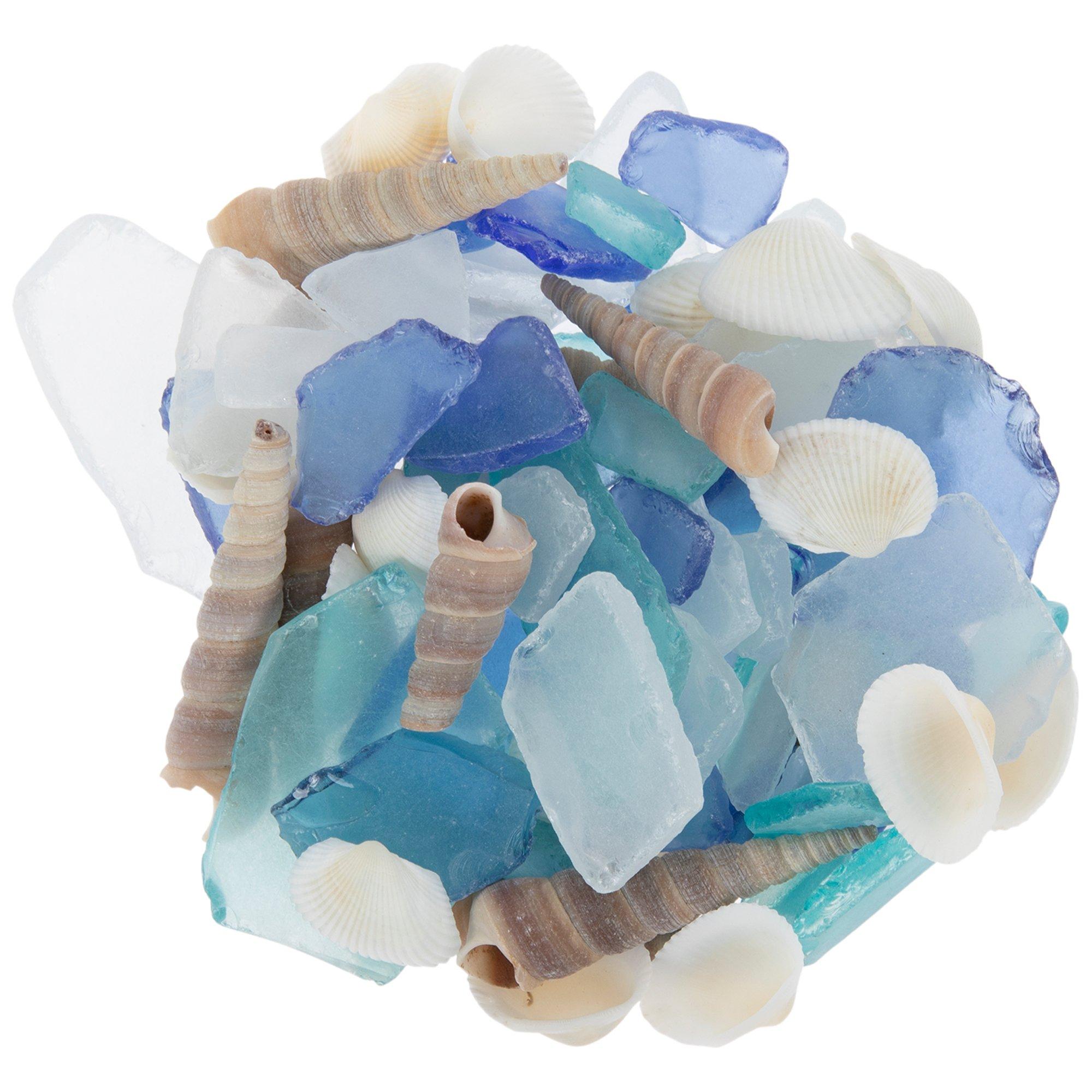 Craft Shells | Seashells, Starfish & Driftwood | Hobby Lobby