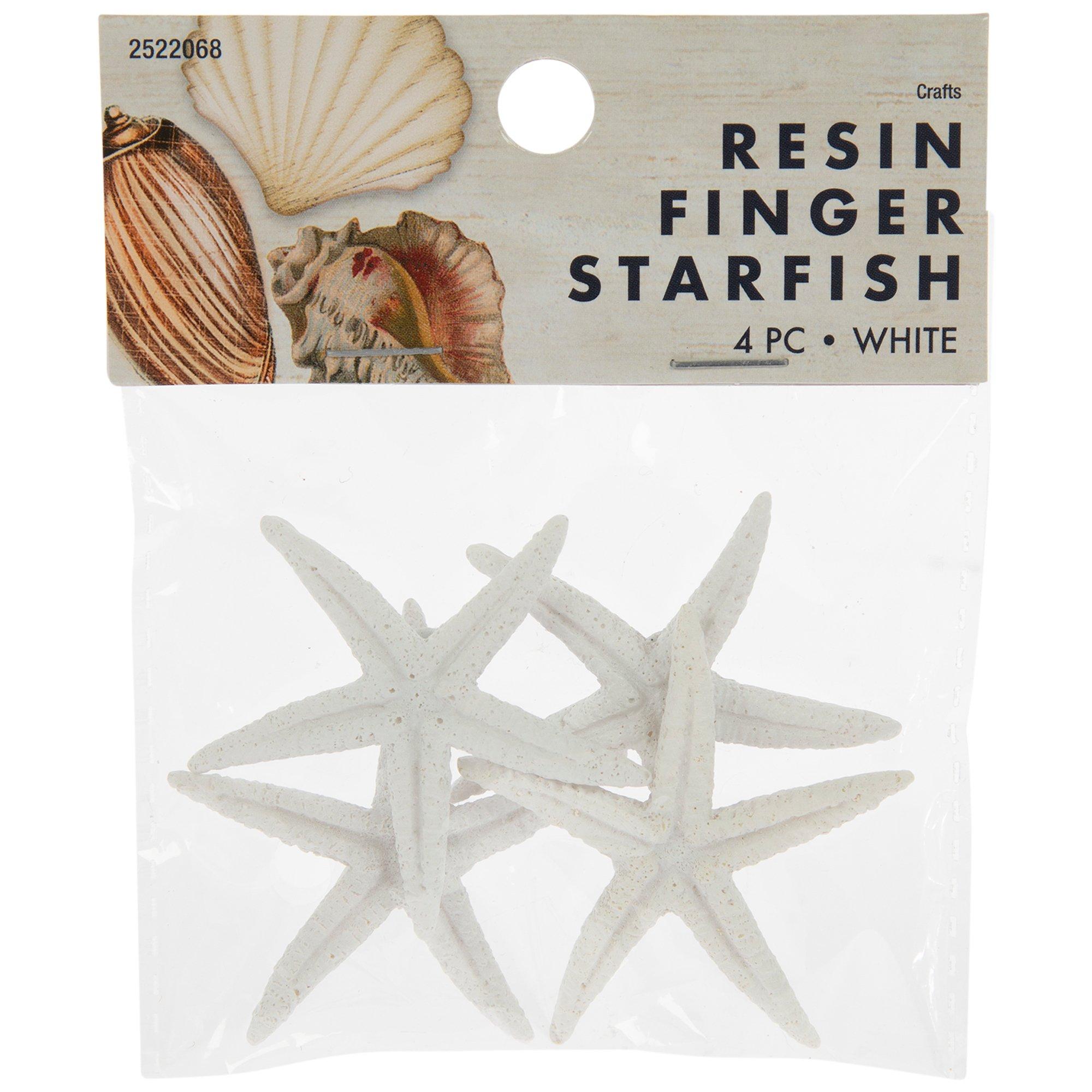 Craft Shells | Seashells, Starfish & Driftwood | Hobby Lobby