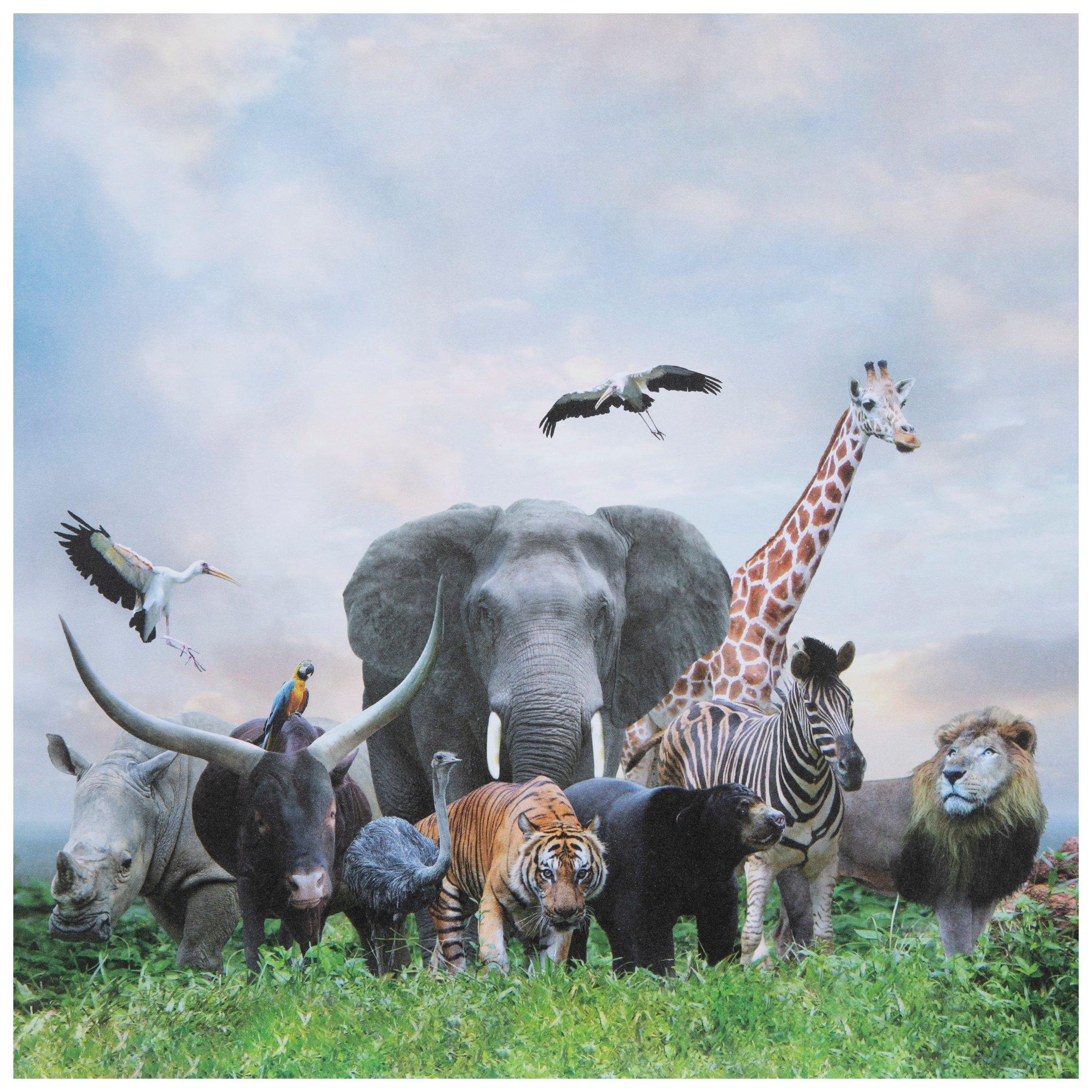 Zoo Friends Scrapbook Paper - 12" x 12" | Hobby Lobby | 2562460