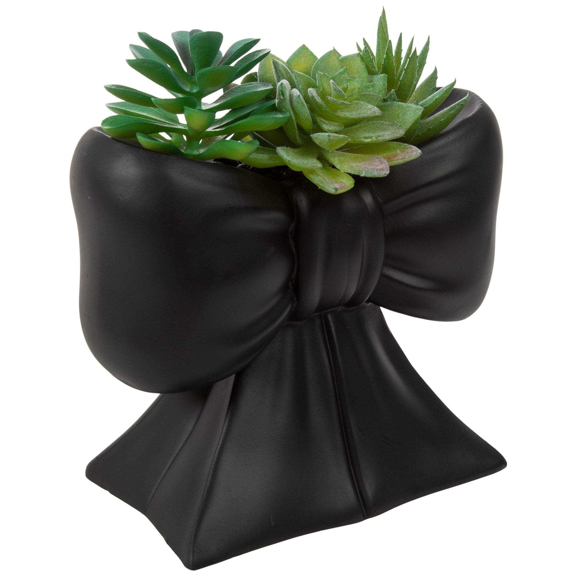 Succulents In Black Bow Flower Pot | Hobby Lobby | 2570059