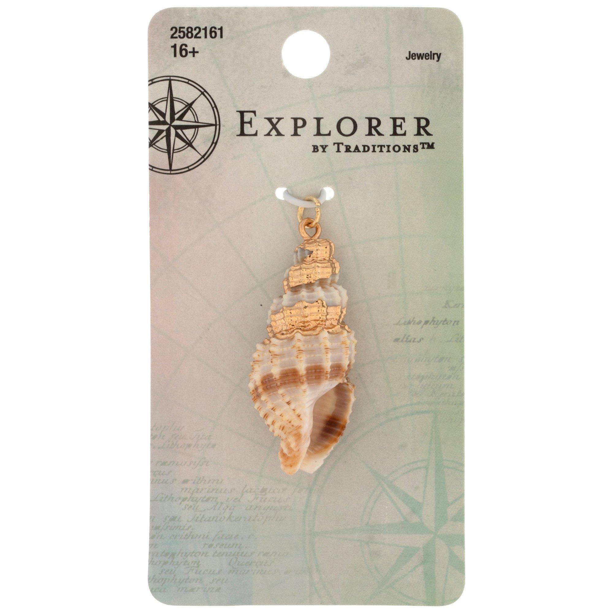 Spire Shell Pendant | Hobby Lobby | 2582161