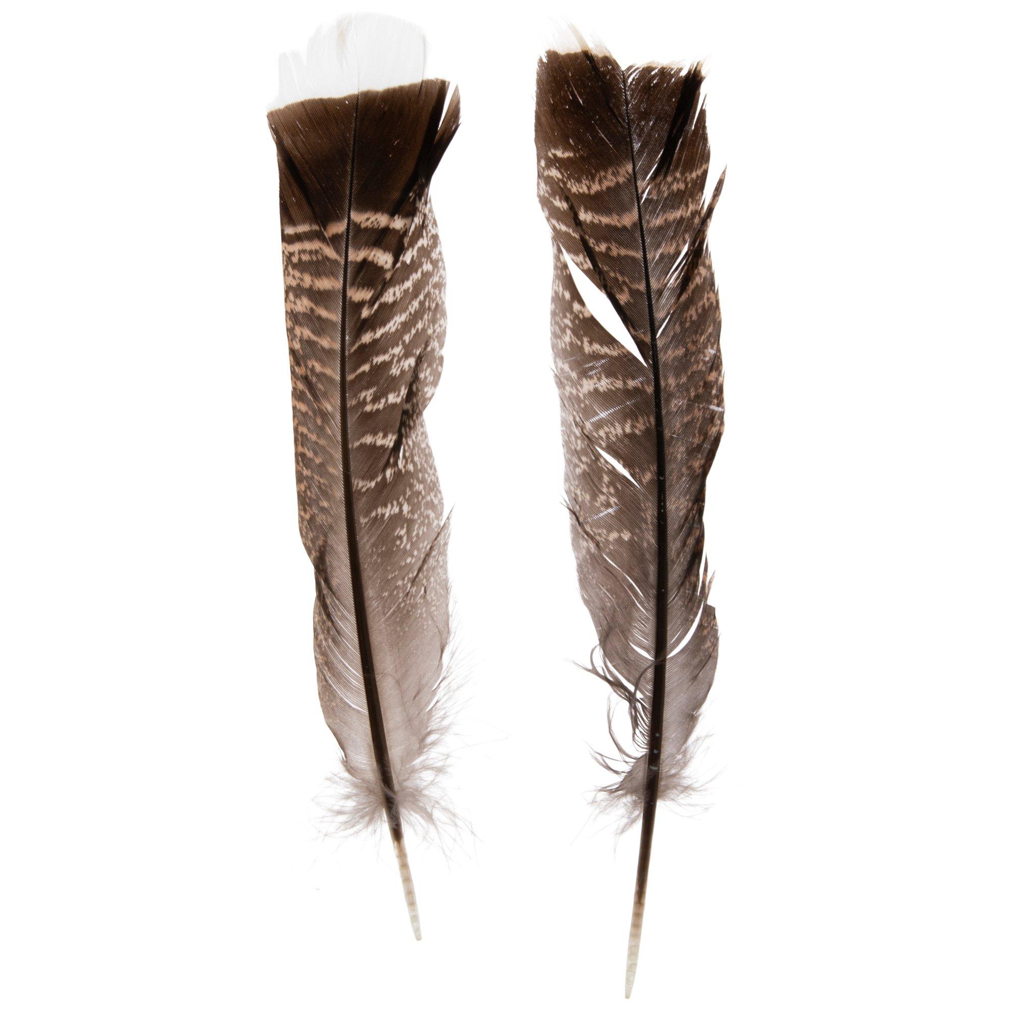 Turkey Quills | Hobby Lobby | 2597987