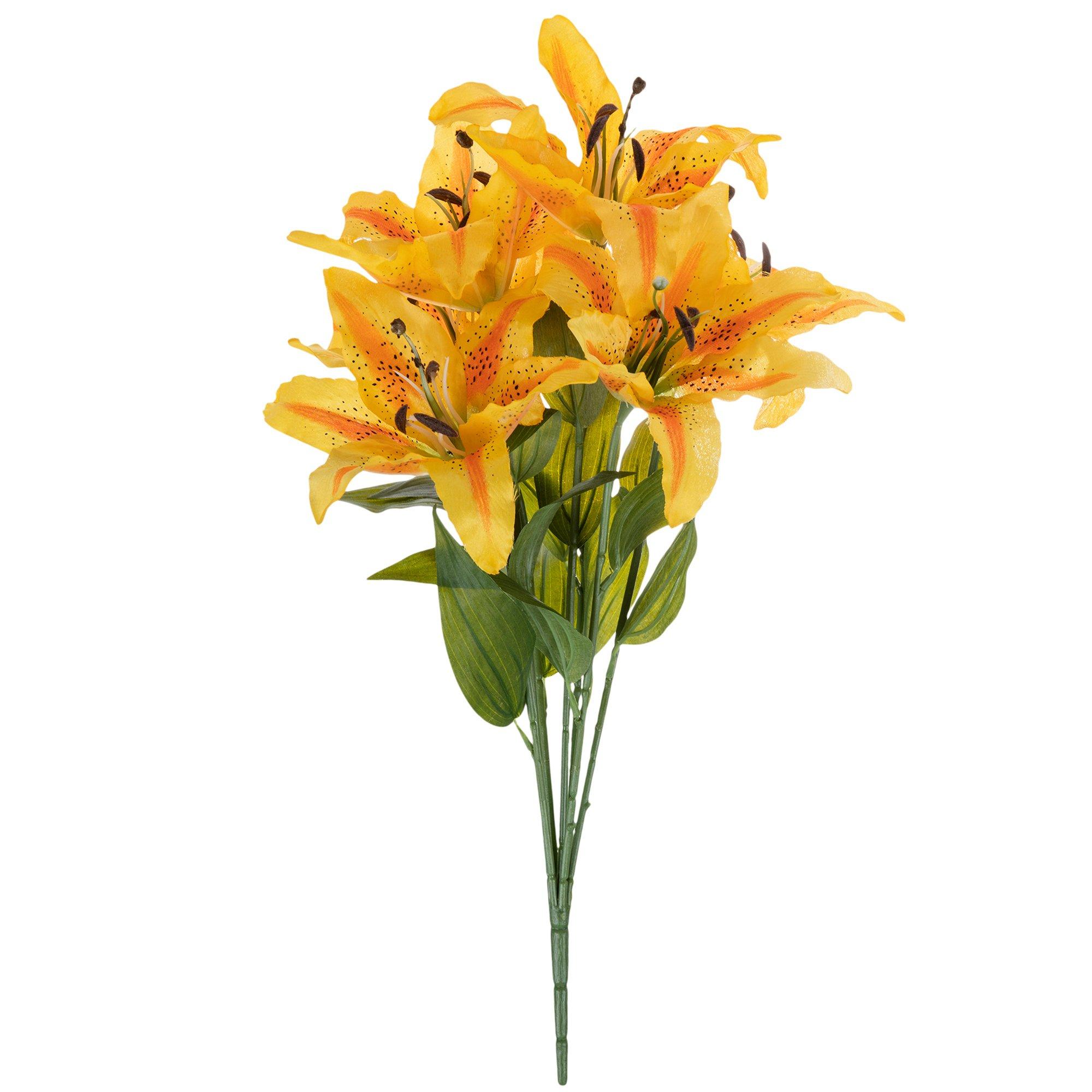 Yellow Tiger Lily Flower