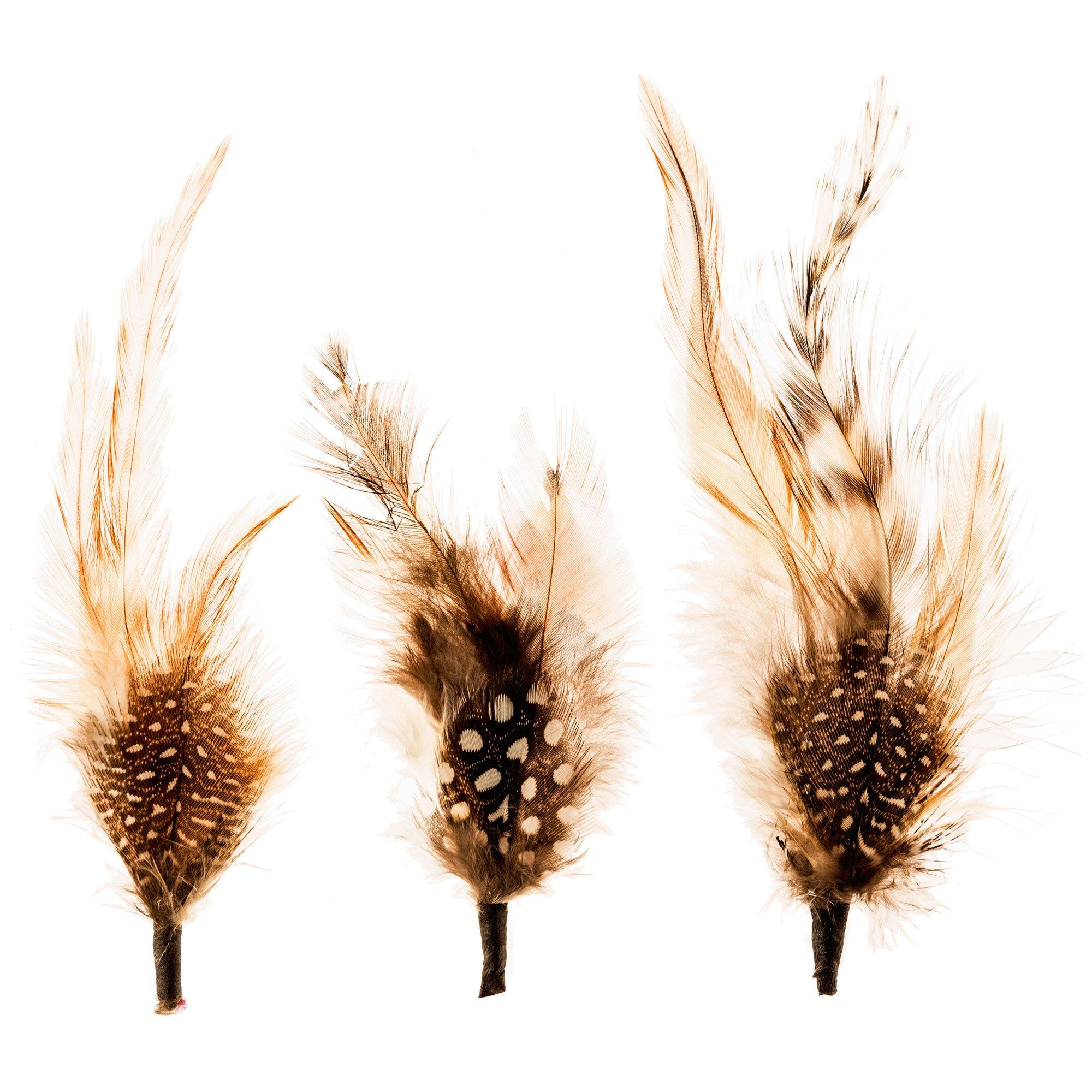 Craft Feathers | Faux Feathers & Quills | Hobby Lobby