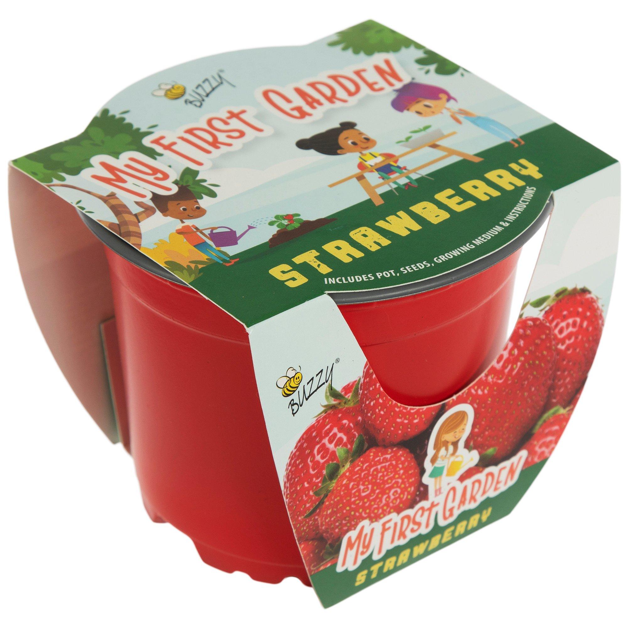 My First Garden Strawberry Grow Kit | Hobby Lobby | 405490883