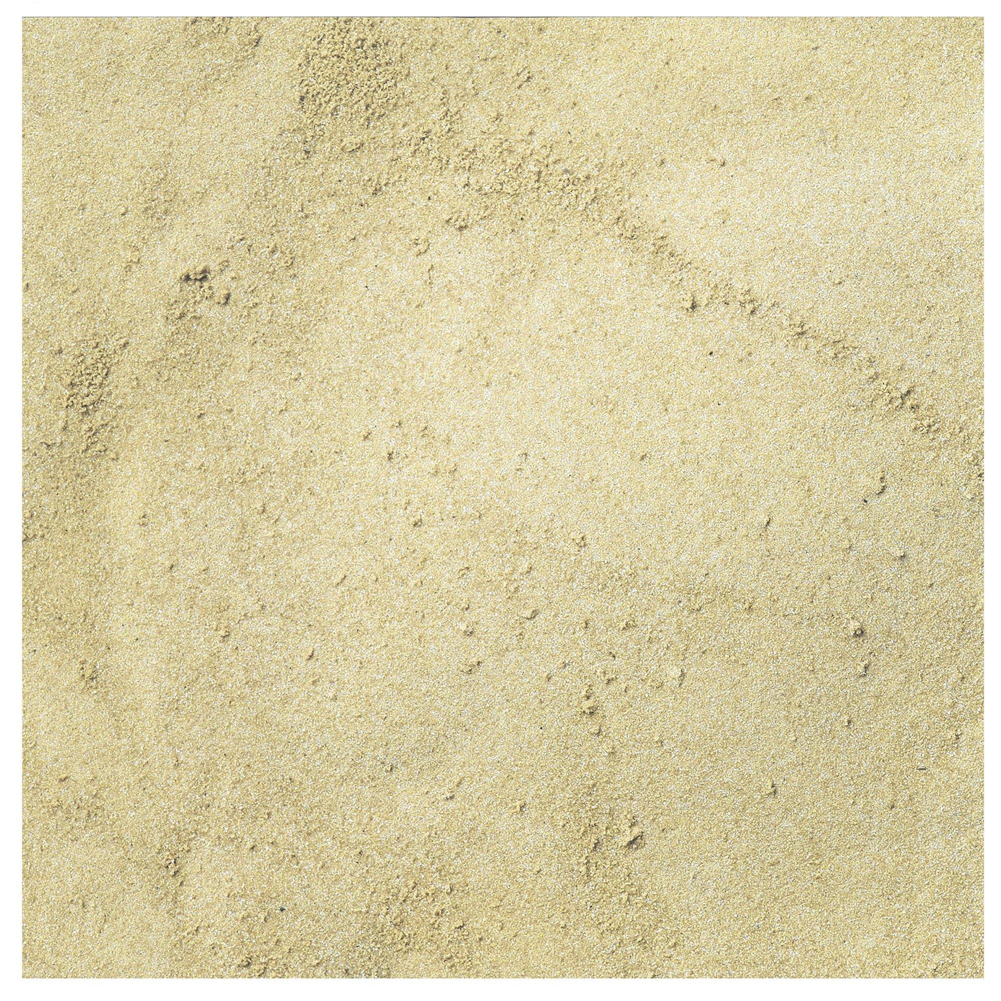 Sand Photo Scrapbook Paper | Hobby Lobby | 406959