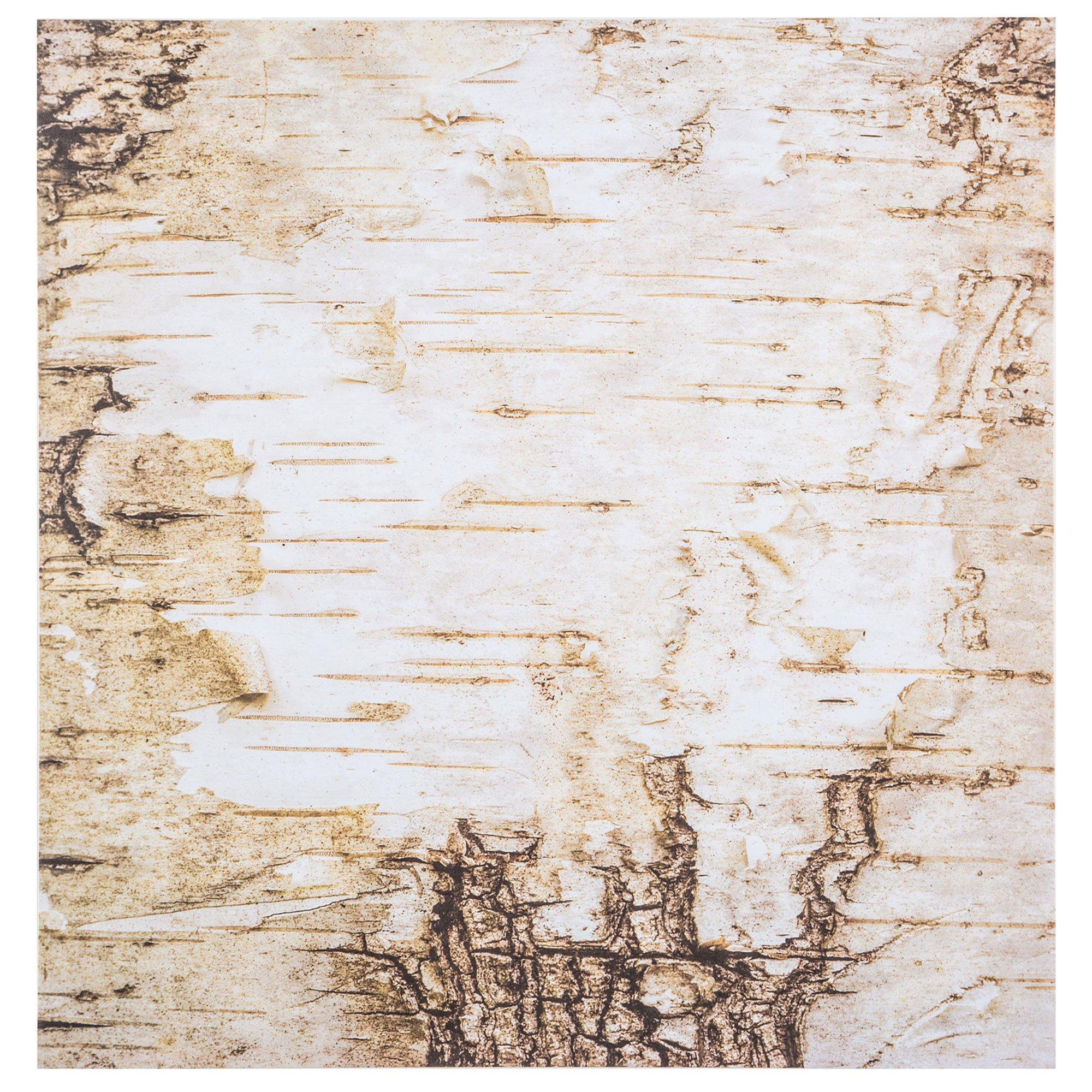Birch Bark Scrapbook Paper - 12" x 12" | Hobby Lobby | 440578