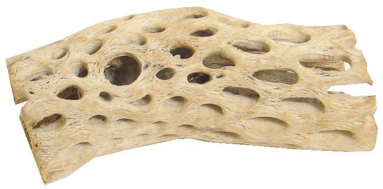 Craft Shells | Seashells, Starfish & Driftwood | Hobby Lobby