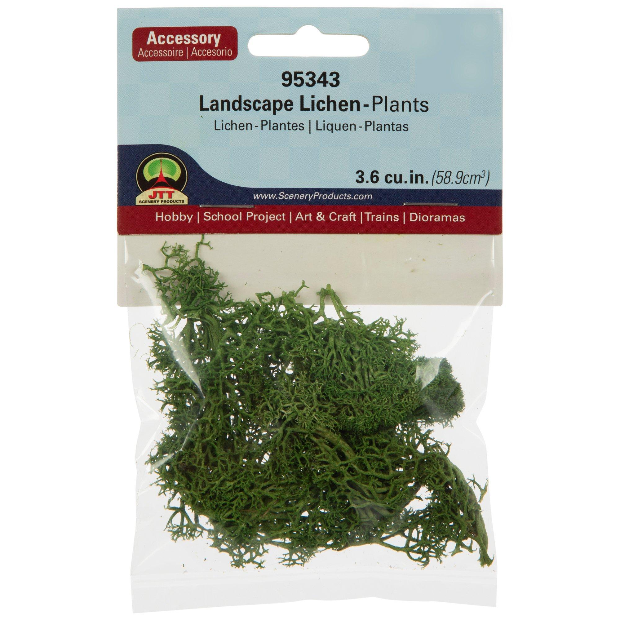 Landscape Lichen Plants | Hobby Lobby | 444844