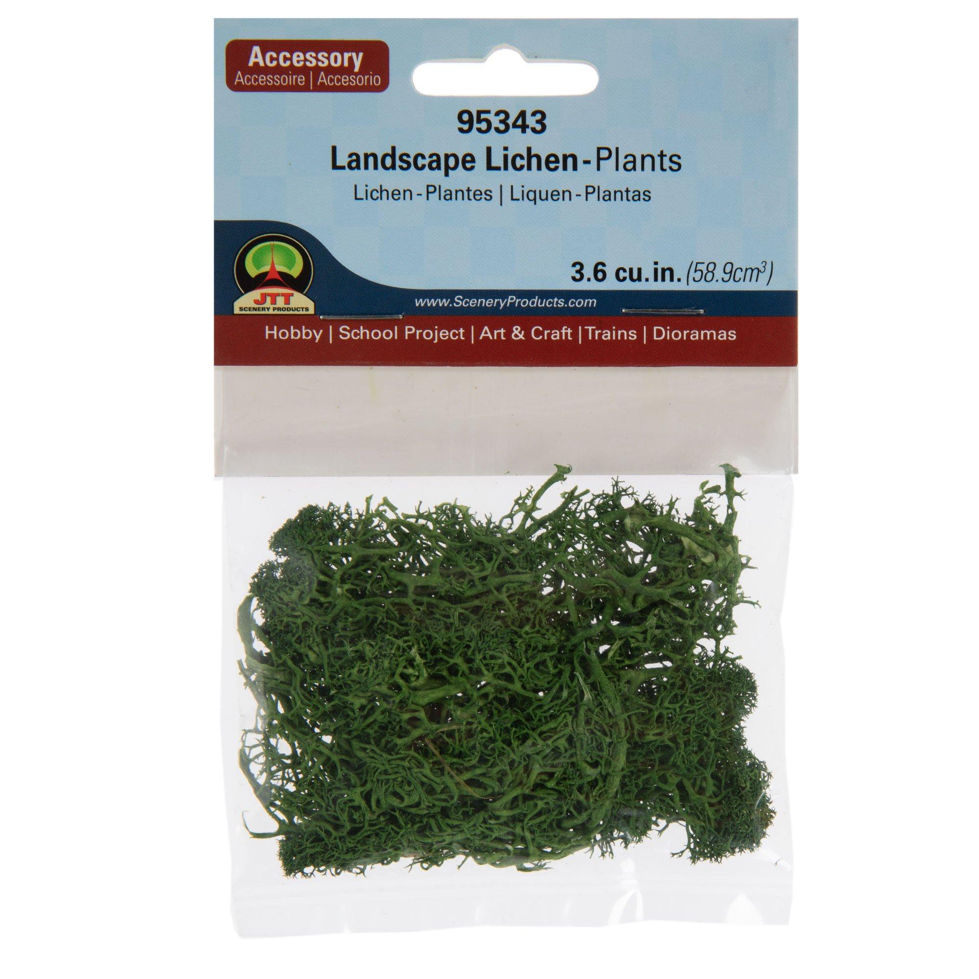 Landscape Lichen Plants | Hobby Lobby | 444844