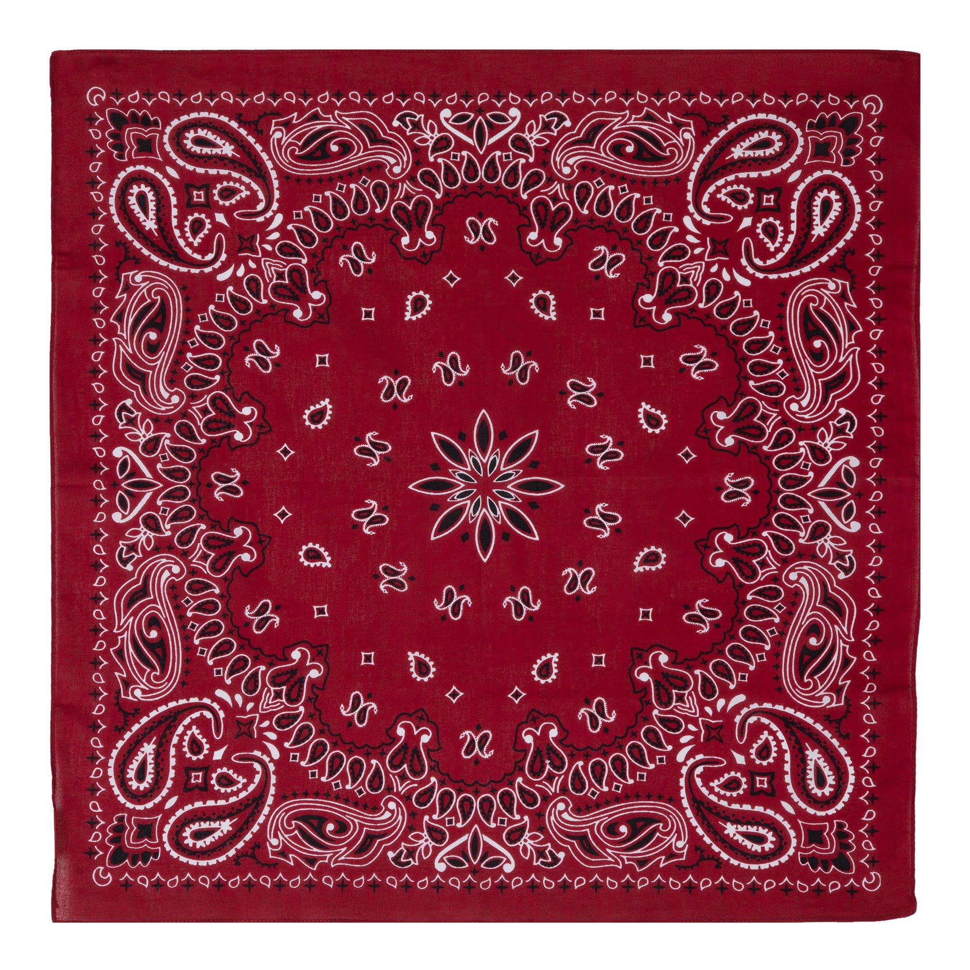 Paisley Bandana | Hobby Lobby | 488080