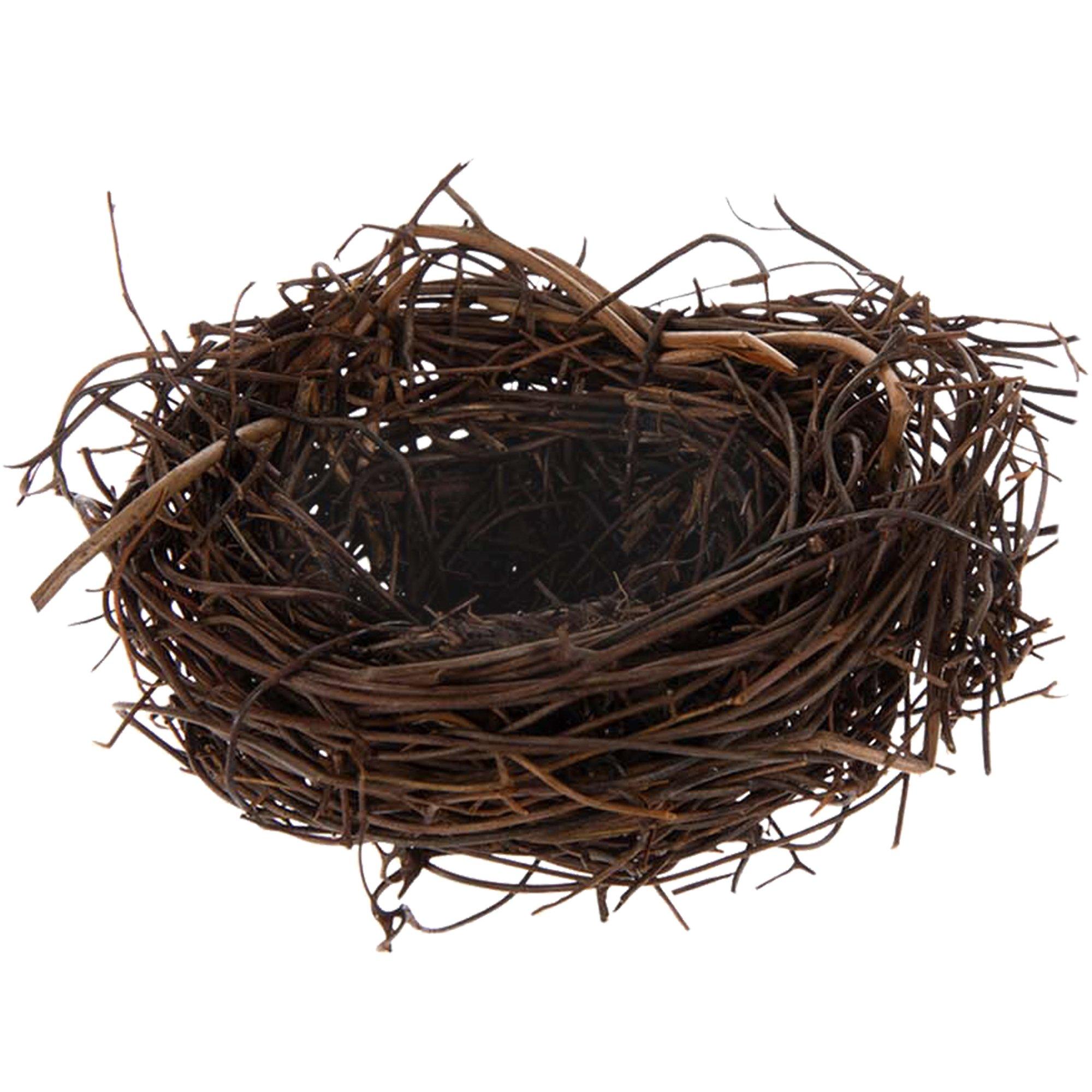 Mini Bird Nests | Hobby Lobby | 5453121