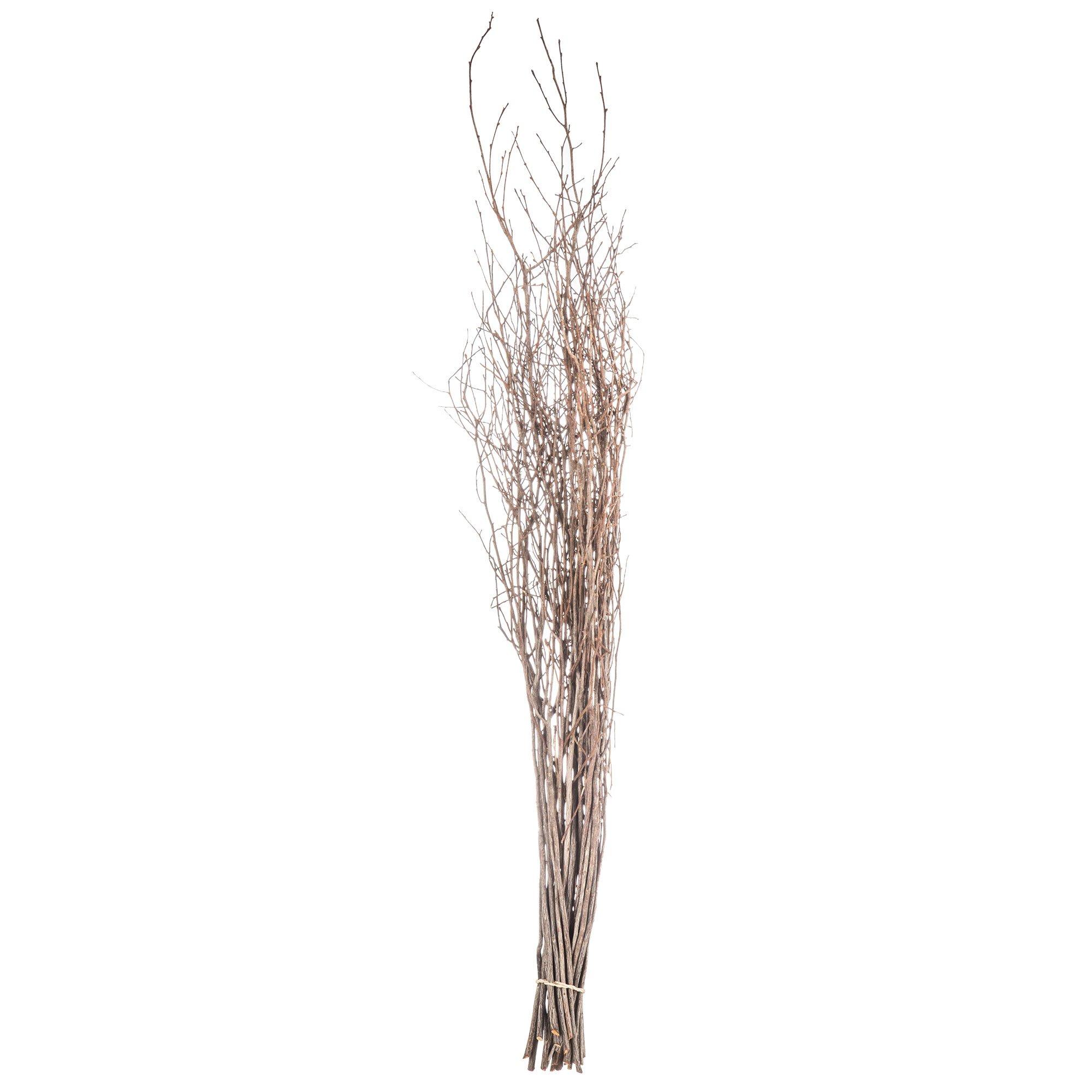 Natural Hog Huck Branches | Hobby Lobby | 548305