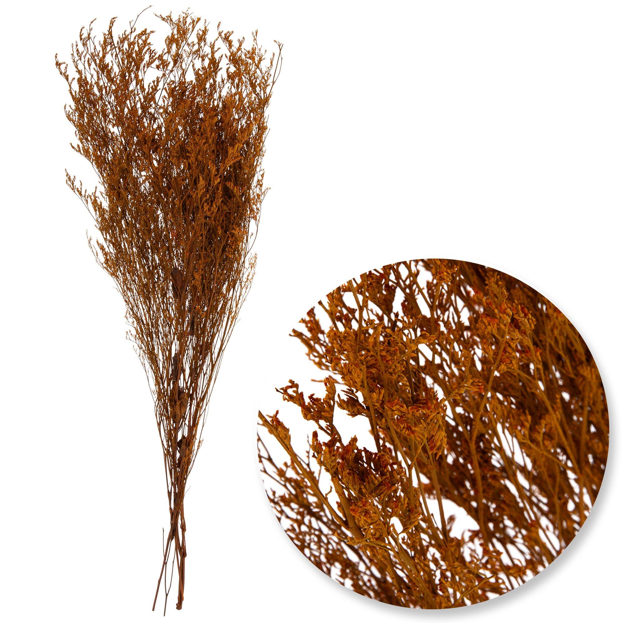 Dried Caspia Bundle | Hobby Lobby | 5686373