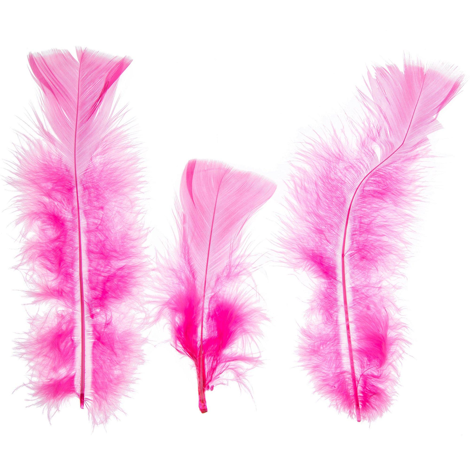 Craft Feathers | Faux Feathers & Quills | Hobby Lobby