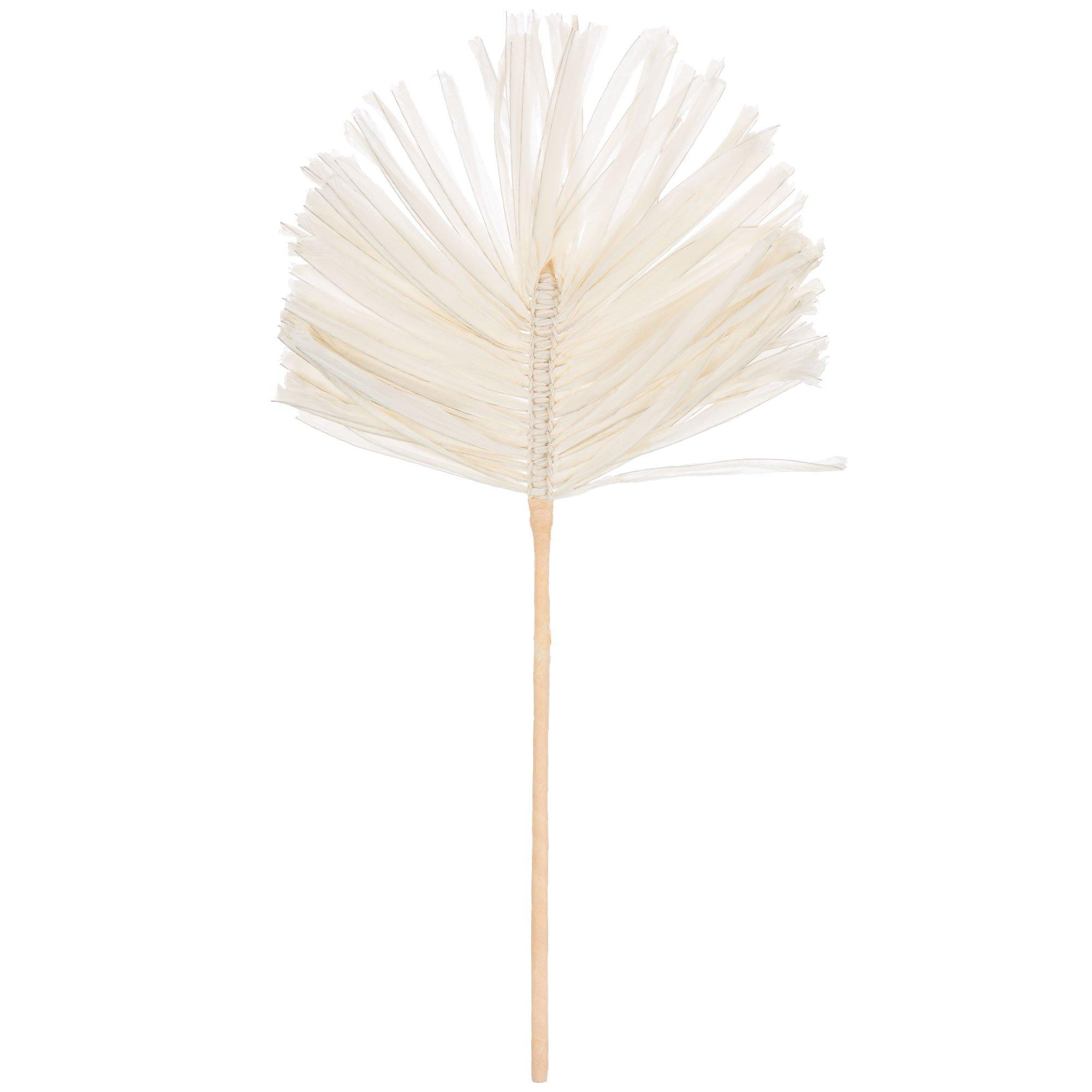 Palm Fan Stem | Hobby Lobby | 5772587