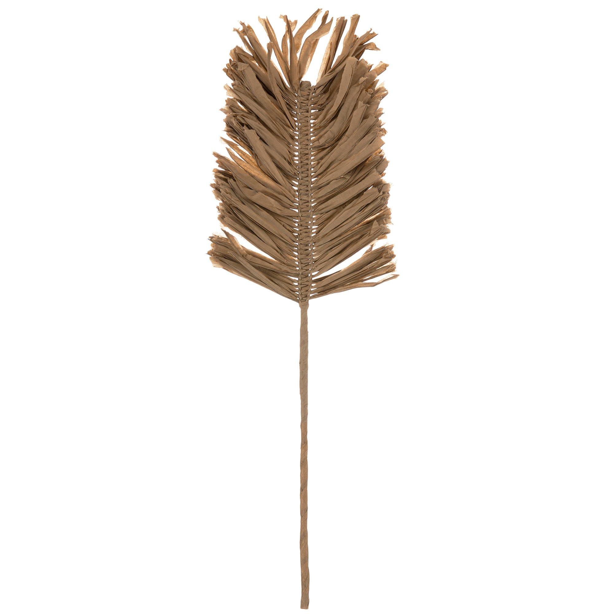 Palm Fan Stem | Hobby Lobby | 5772603