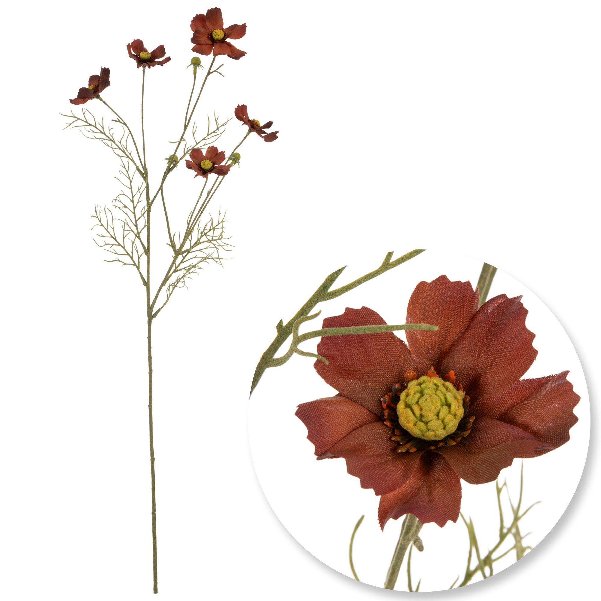 Cosmo Spray | Hobby Lobby | 5945423