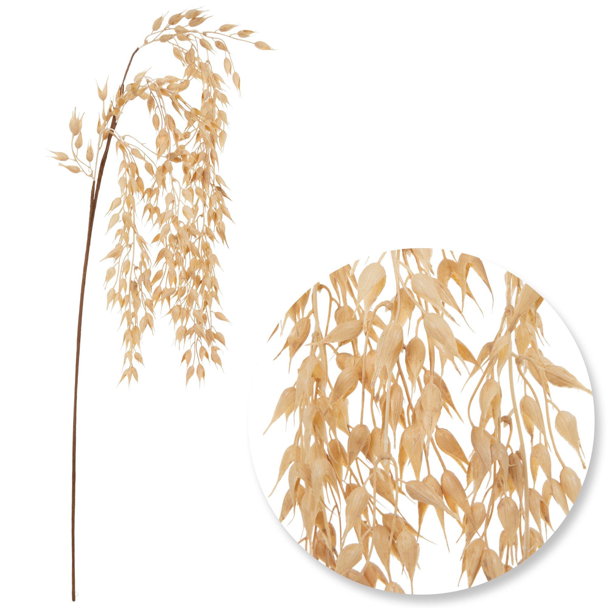 Oat Seed Bush | Hobby Lobby | 5946009