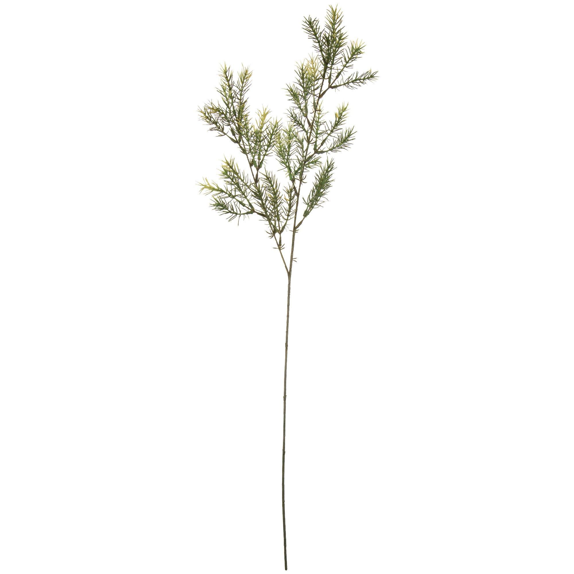 Green Springeri Spray | Hobby Lobby | 596668