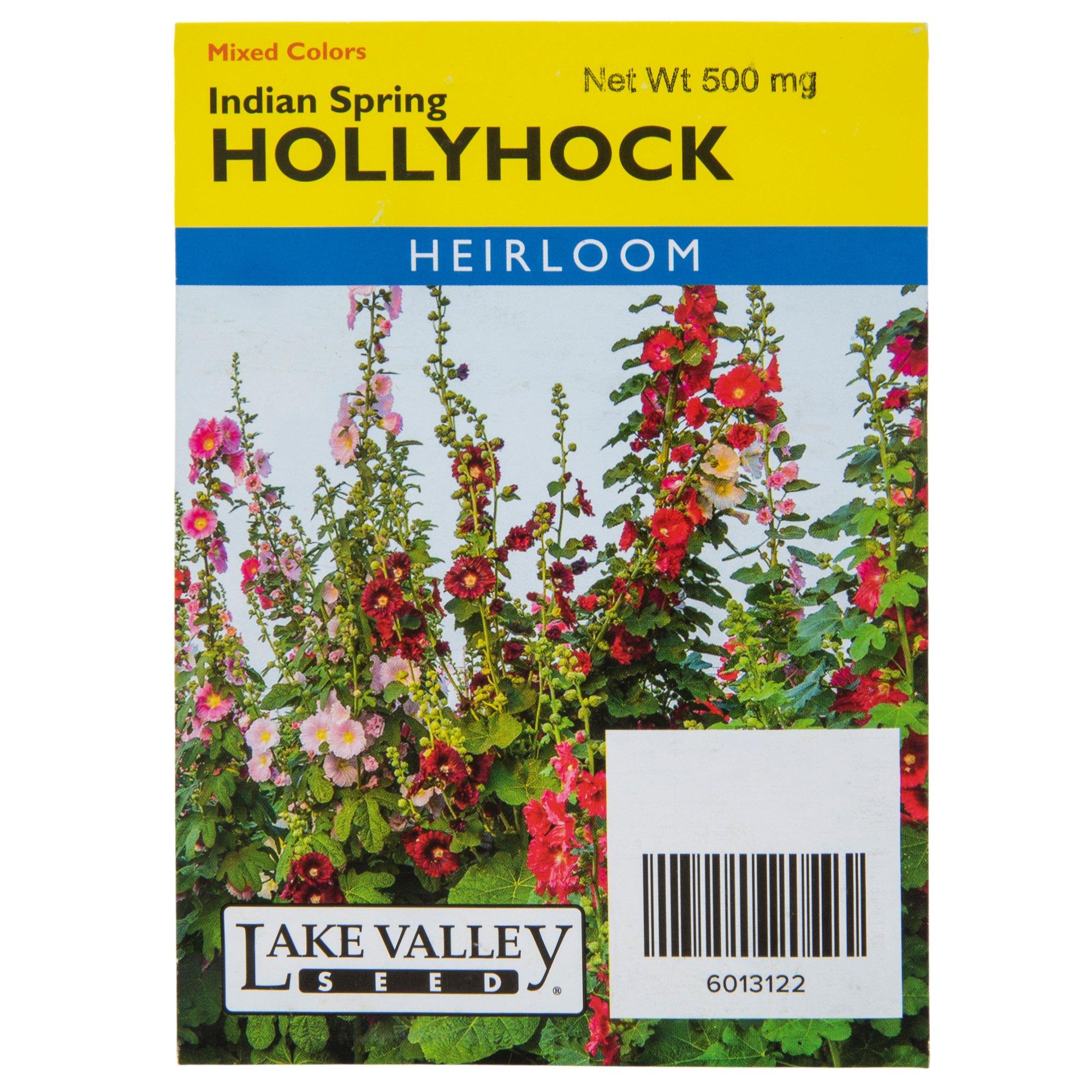 Hollyhock Indian Spring Mixed Colors Seeds | Hobby Lobby | 6013122