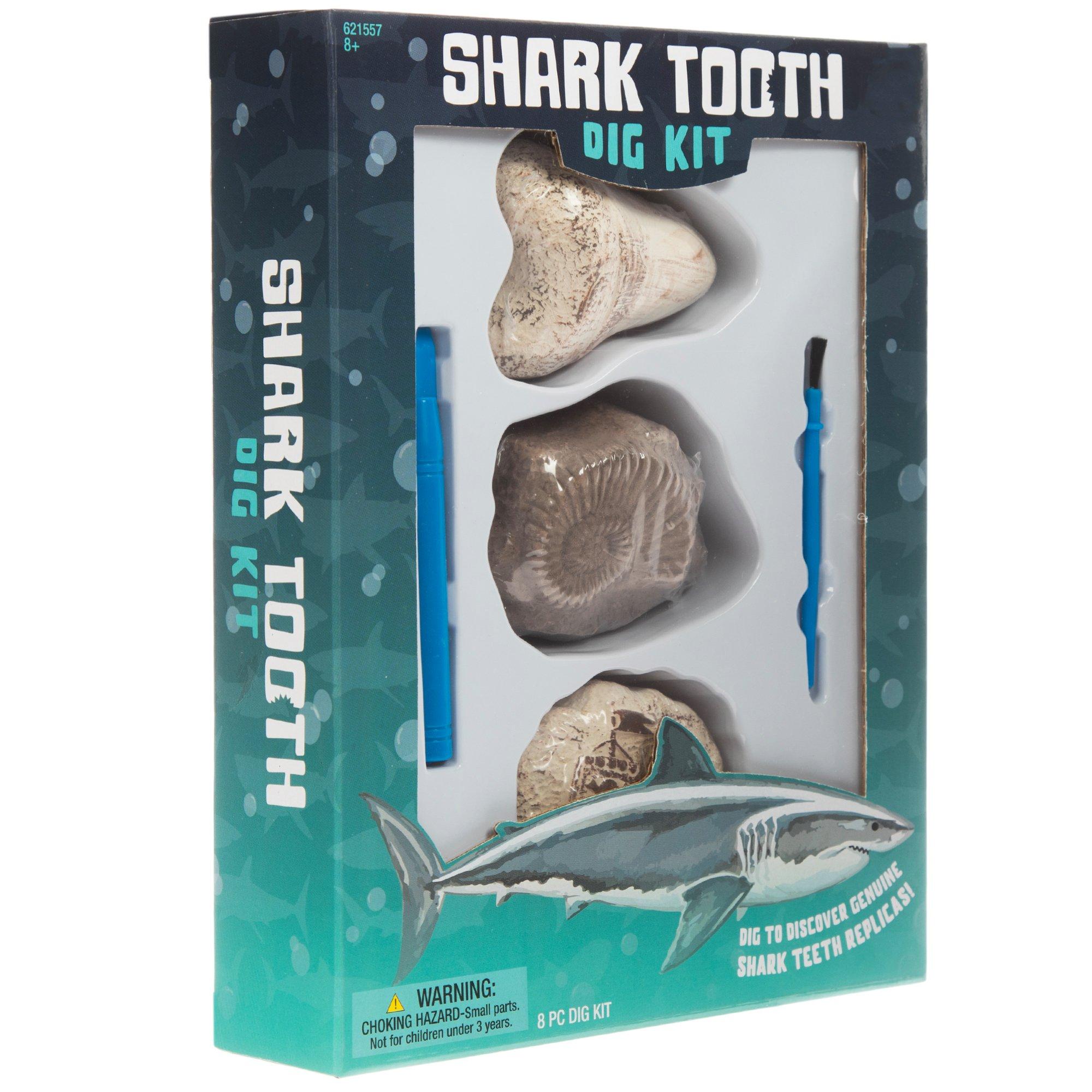 Shark Tooth Dig Kit | Hobby Lobby | 621557