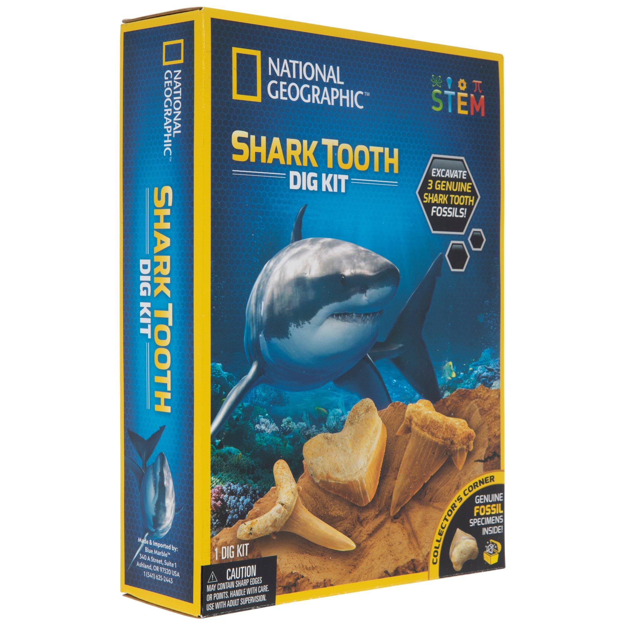 Shark Tooth Dig Kit | Hobby Lobby | 621557