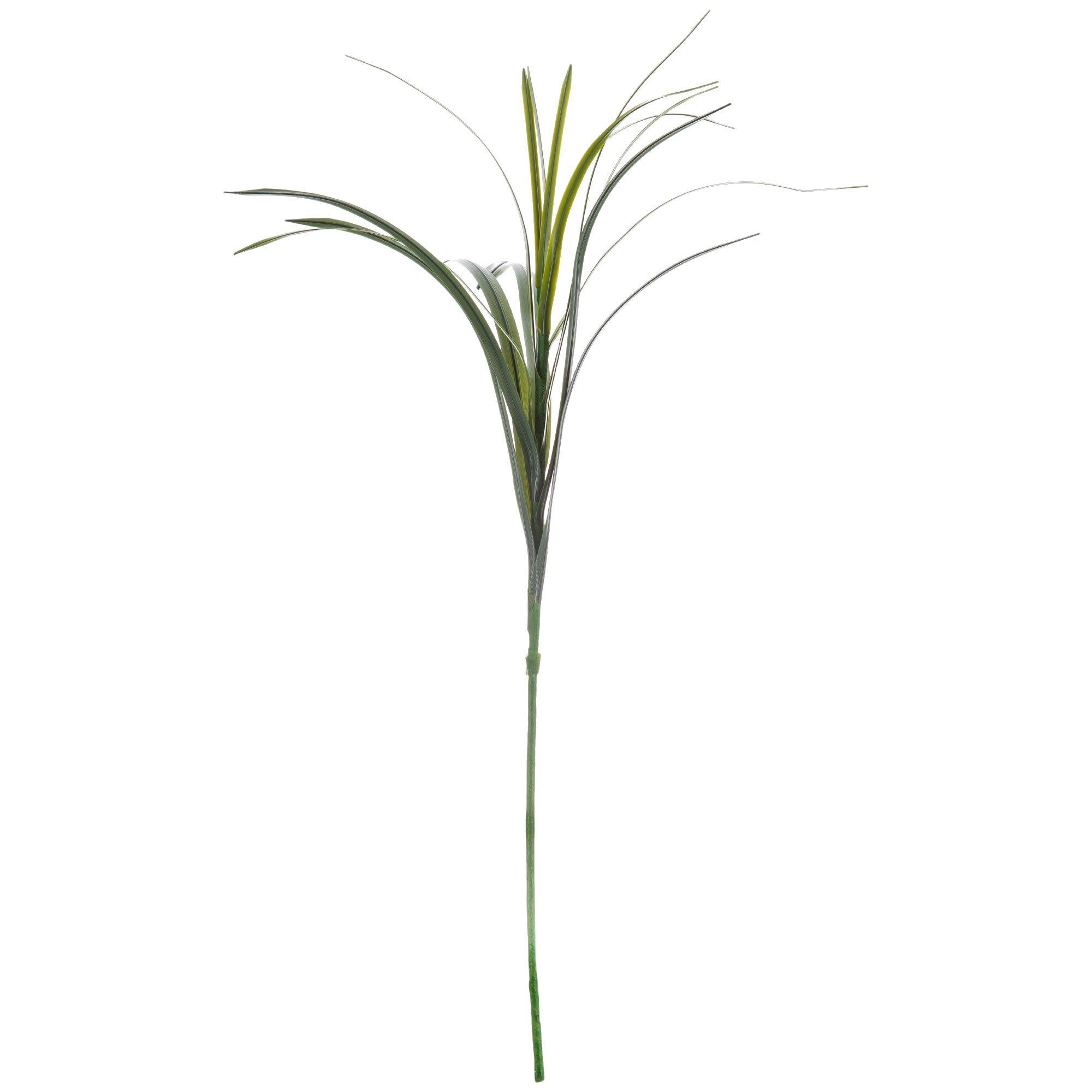 Green Rainbow Grass Stem | Hobby Lobby | 628032
