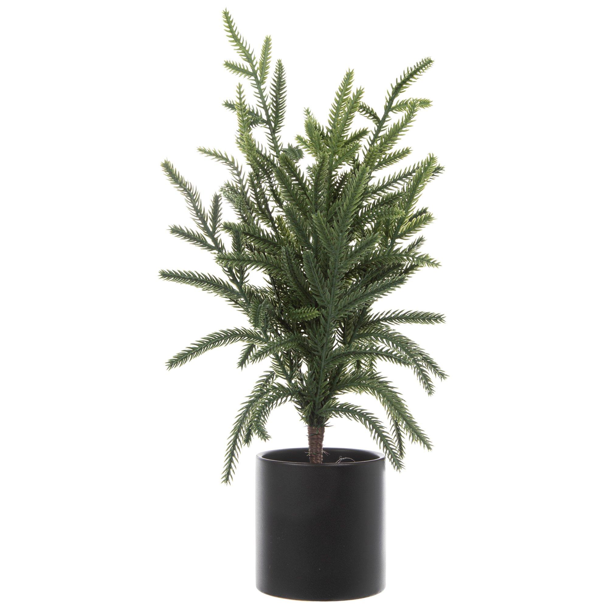 Real Touch Pine Tree In Black Pot | Hobby Lobby | 6334163
