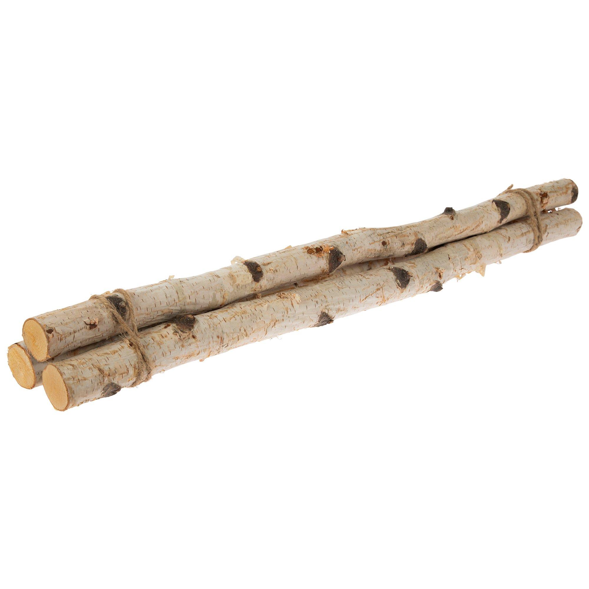 Birch Logs | Hobby Lobby | 6336721
