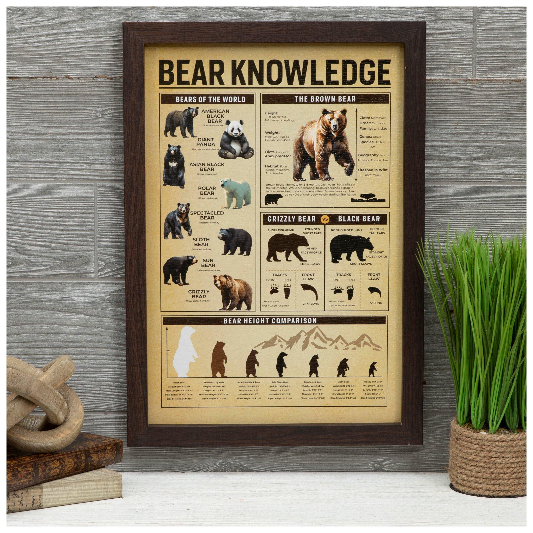 Bear Knowledge Wood Wal Decor | Hobby Lobby | 6368617
