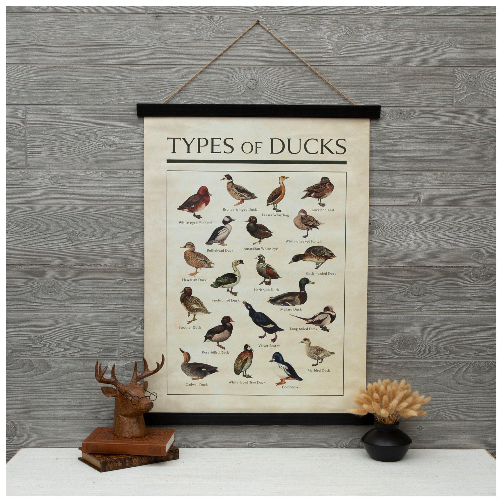 Types Of Ducks Tapestry Wall Decor | Hobby Lobby | 6370167