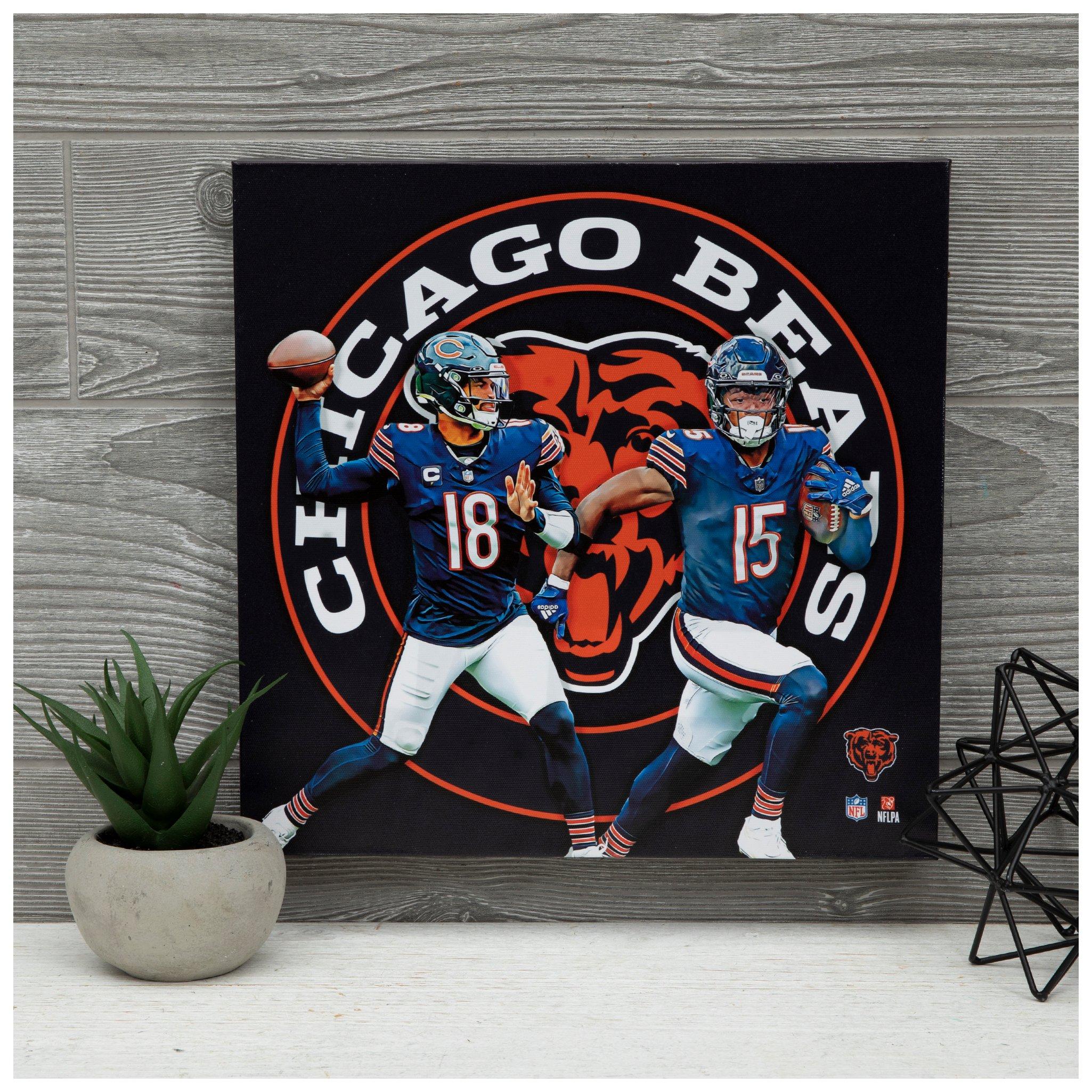 NFL Chicago Bears Canvas Wall Decor | Hobby Lobby | 6382006