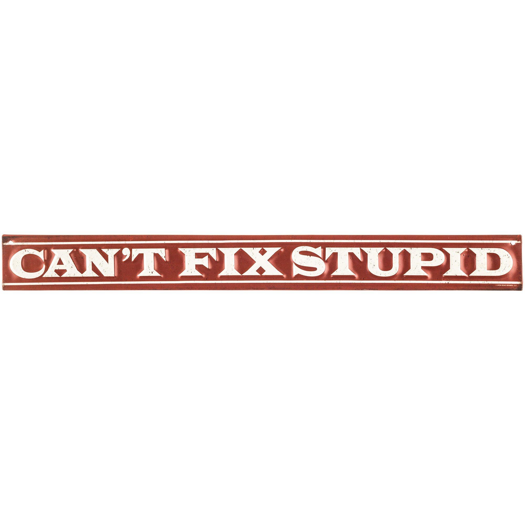 Can't Fix Stupid Metal Sign | Hobby Lobby | 718460