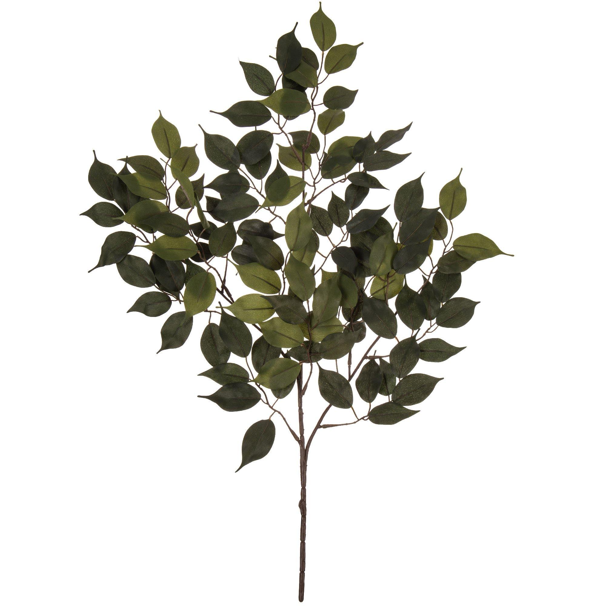 Ficus Branch | Hobby Lobby | 738690