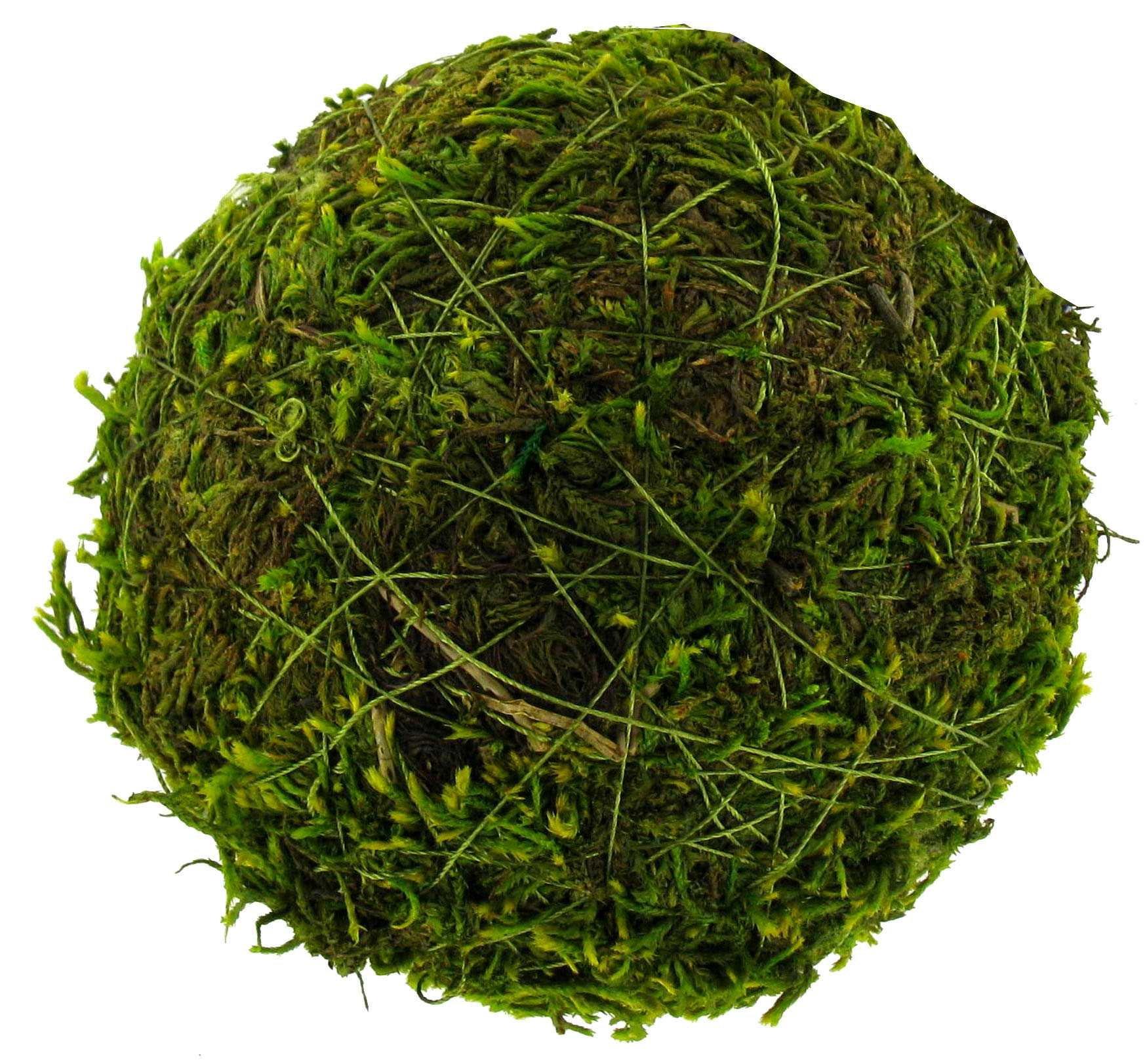 Moss Ball | Hobby Lobby | 744425