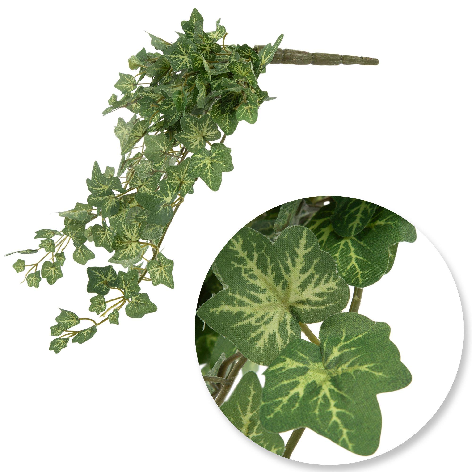 Mini Trailing English Ivy Bush | Hobby Lobby | 769141