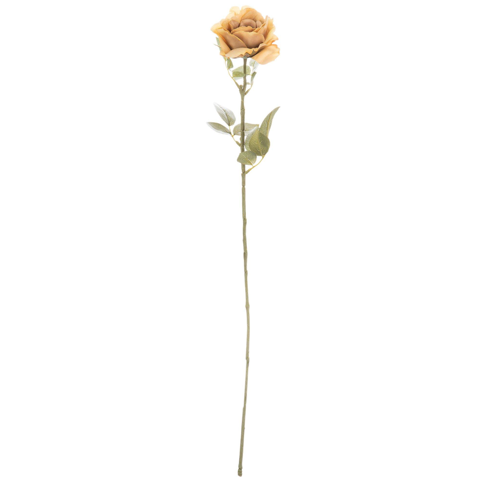 Rose Stem | Hobby Lobby | 791988
