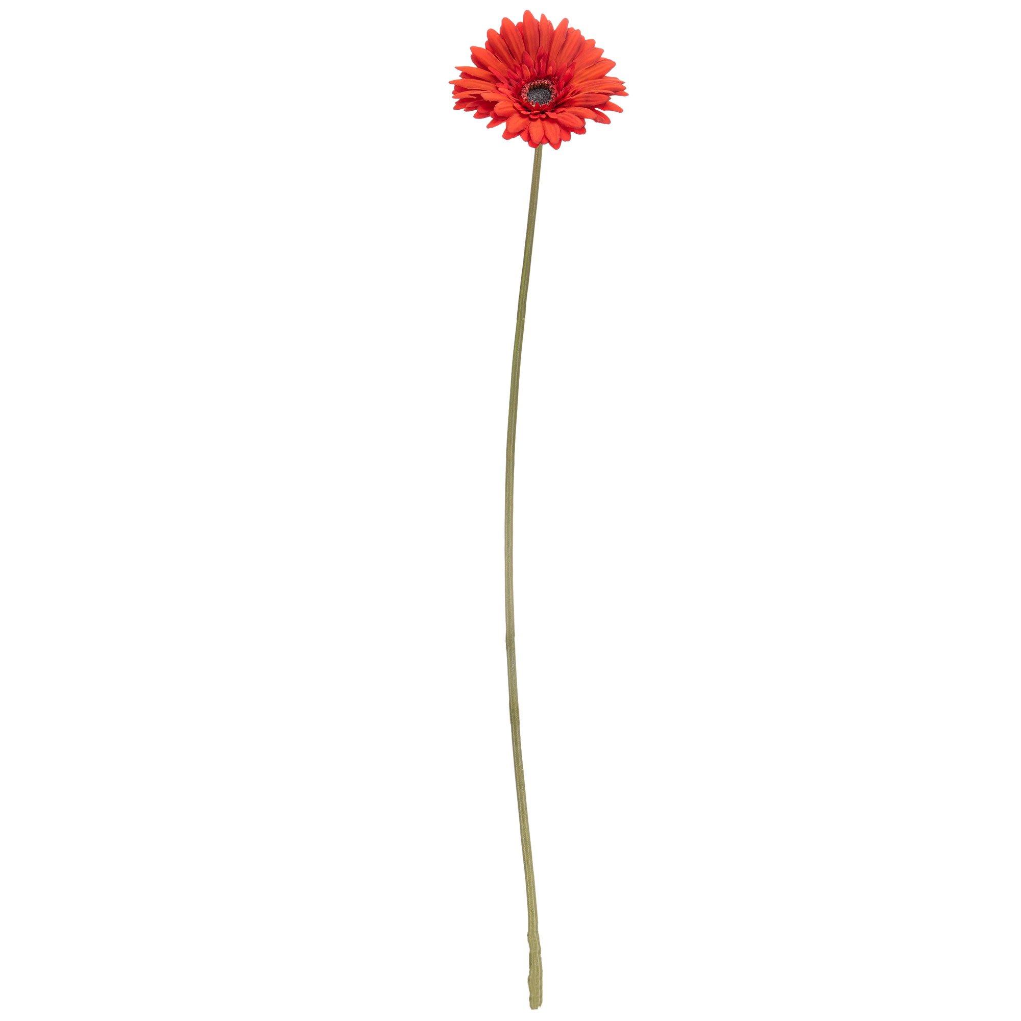 Gerbera Daisy Stem | Hobby Lobby | 793349