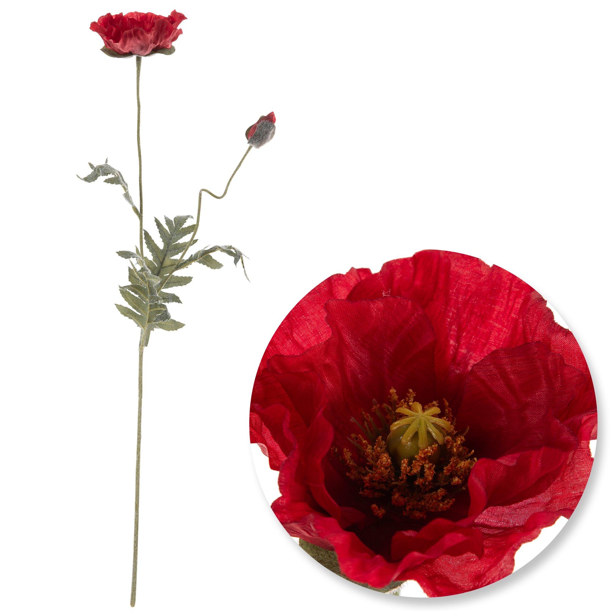 Poppy Stem | Hobby Lobby | 799965