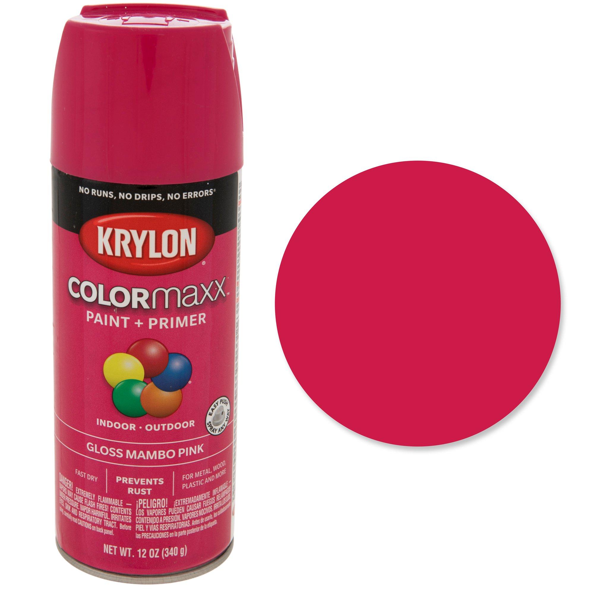 Krylon ColorMaxx Glossy Spray Paint & Primer | Hobby Lobby | 841536