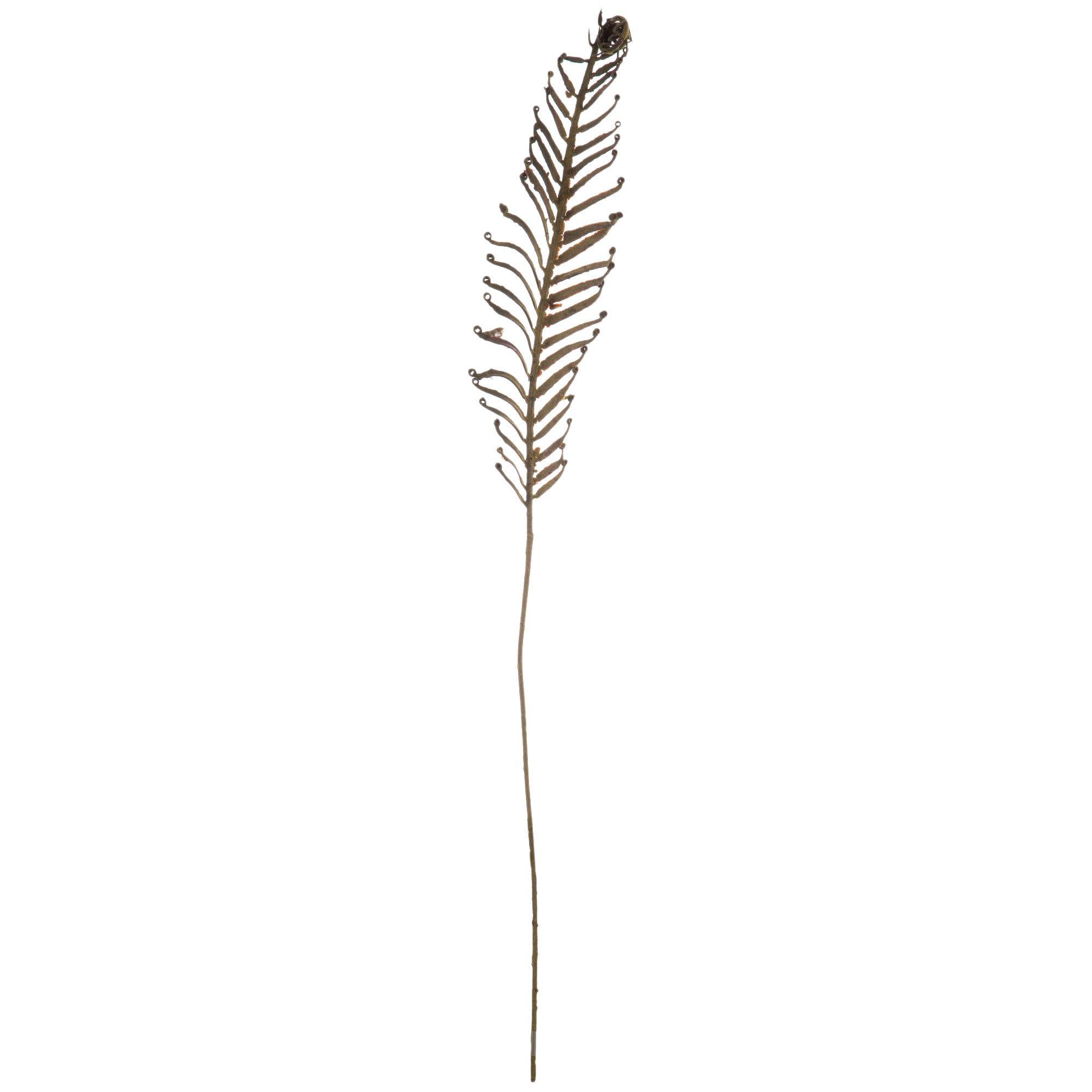 Flocked Dragon Fern Stem | Hobby Lobby | 869388