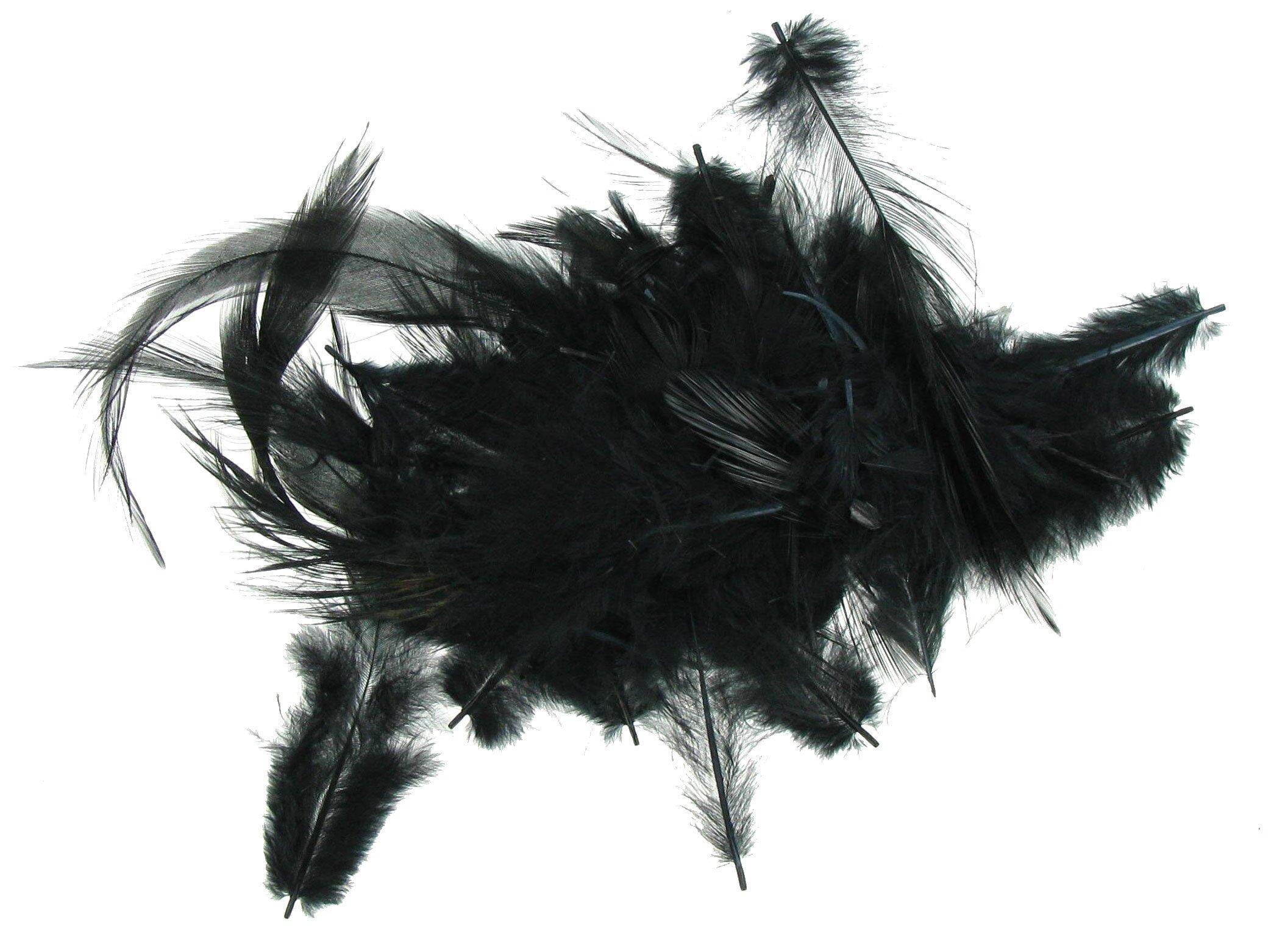 Dyed Saddle Hackle | Hobby Lobby | 876821