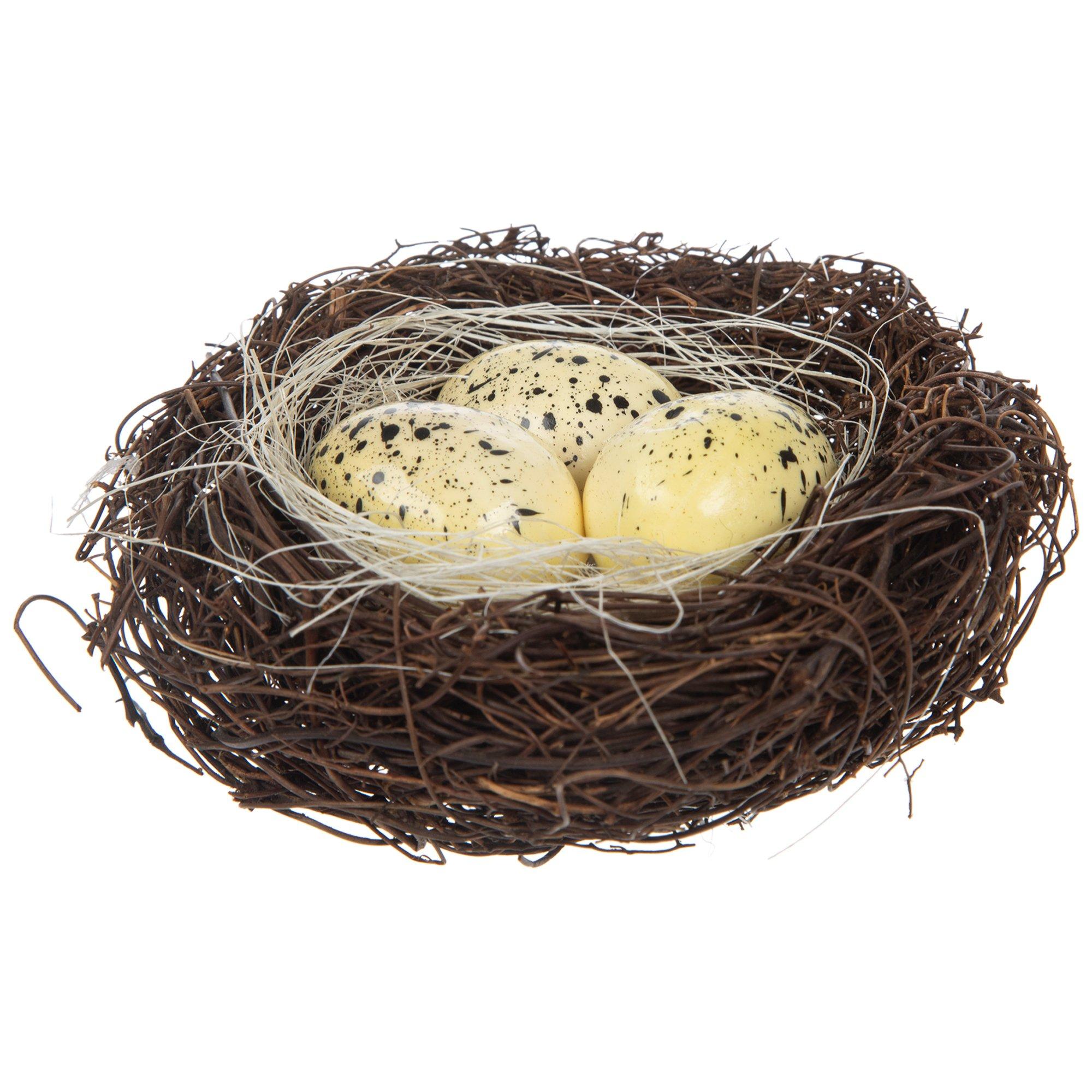 Brown Bird's Nest With White Eggs | Hobby Lobby | 885418