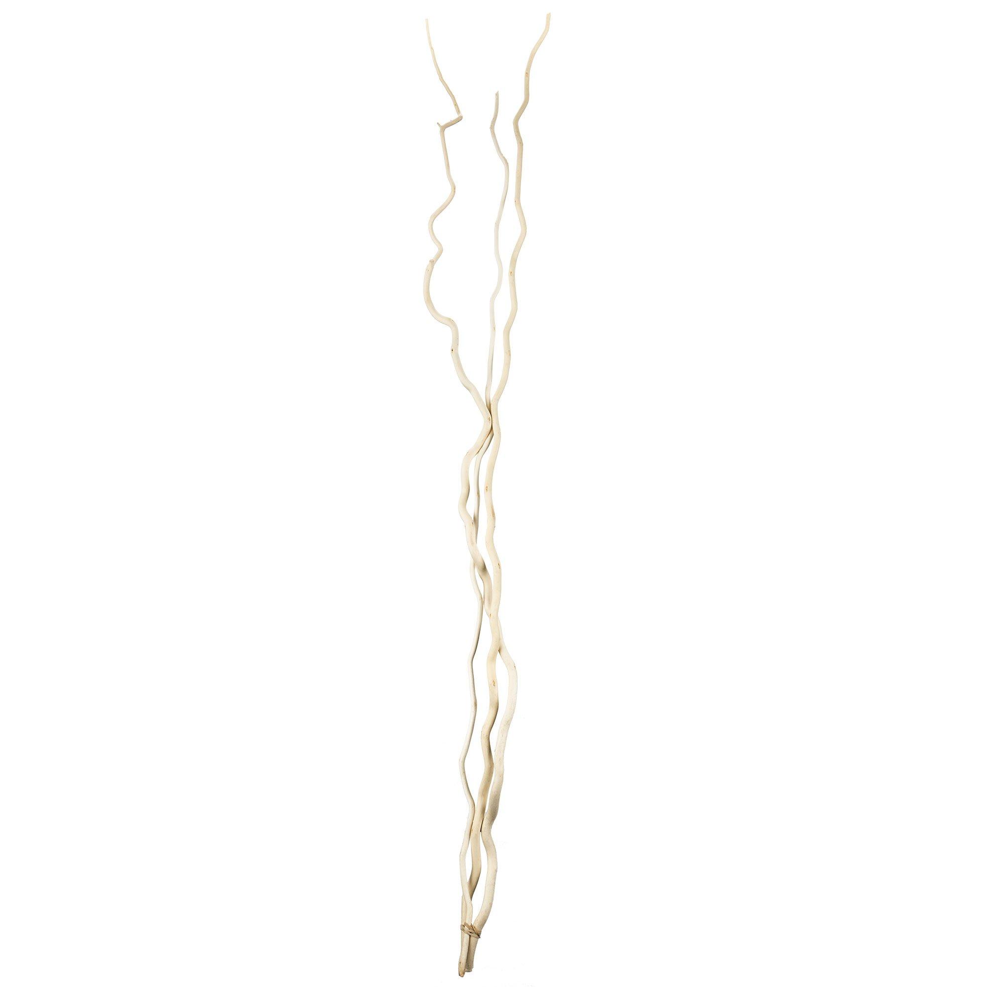 Contorted Willow Stems | Hobby Lobby | 895367