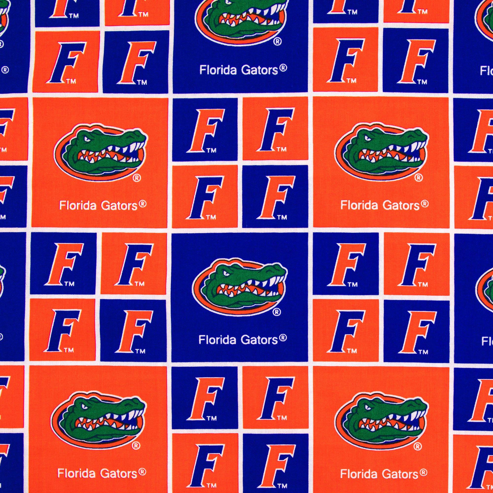 Florida Block Collegiate Cotton Fabric | Hobby Lobby | 952085