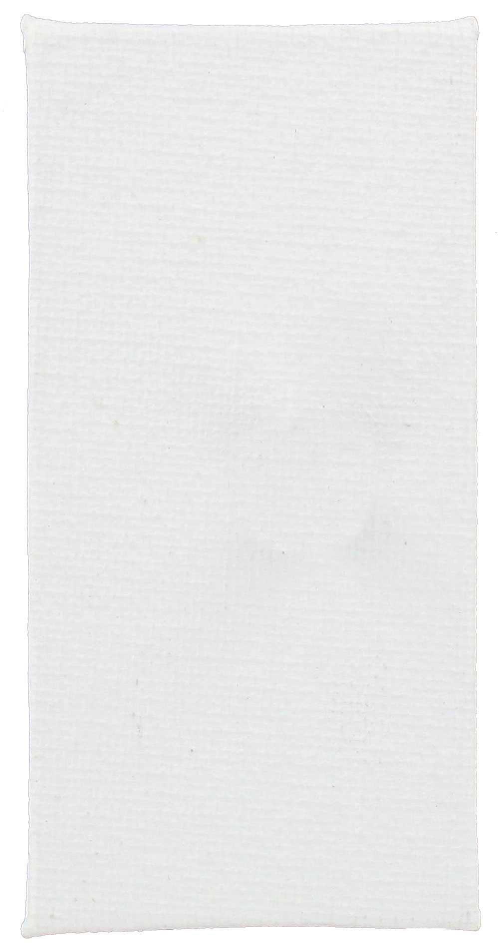 Mini Blank Canvas Set | Hobby Lobby | 972893