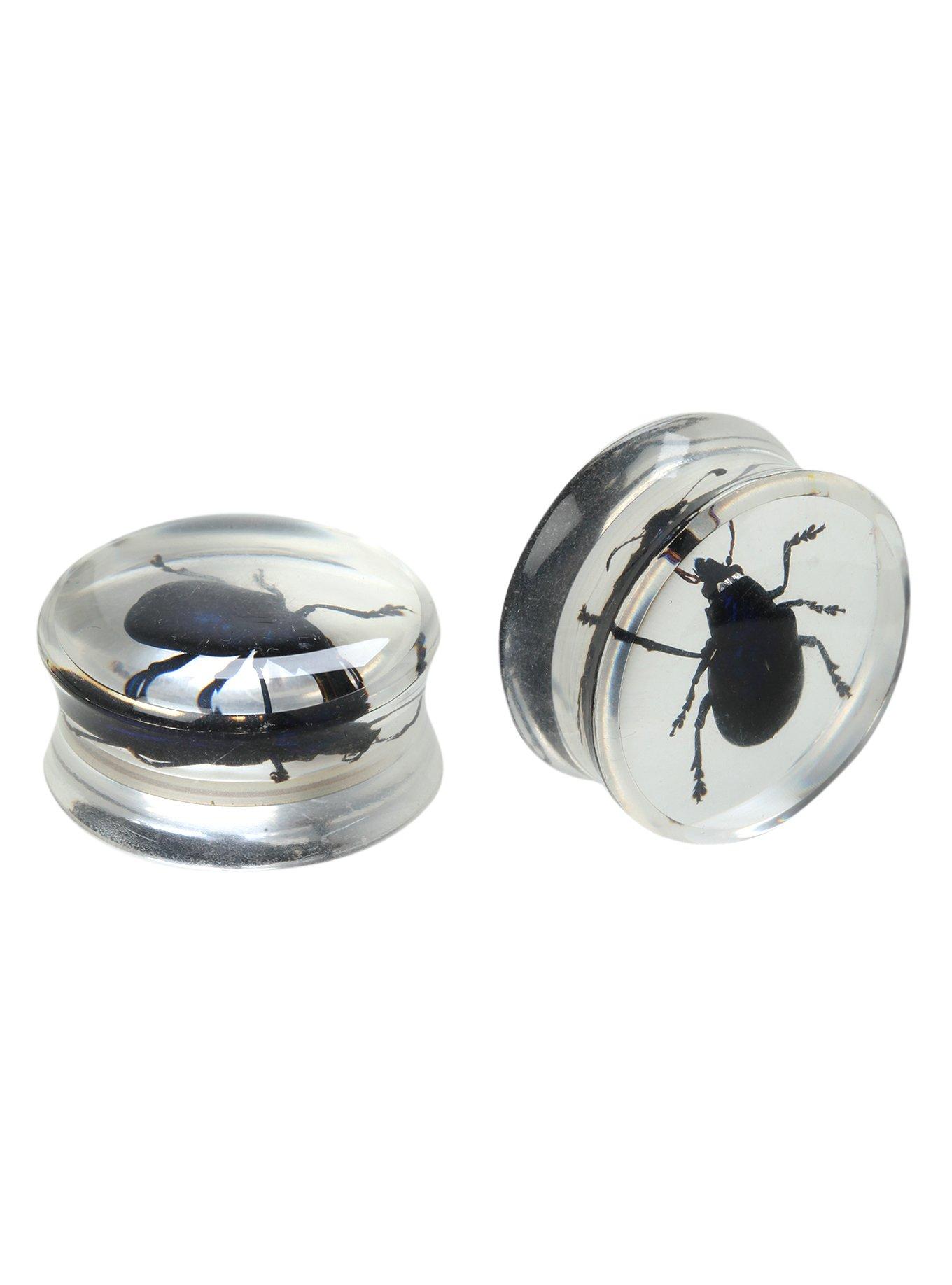 Acrylic Clear Beetle Saddle Plugs | Hot Topic